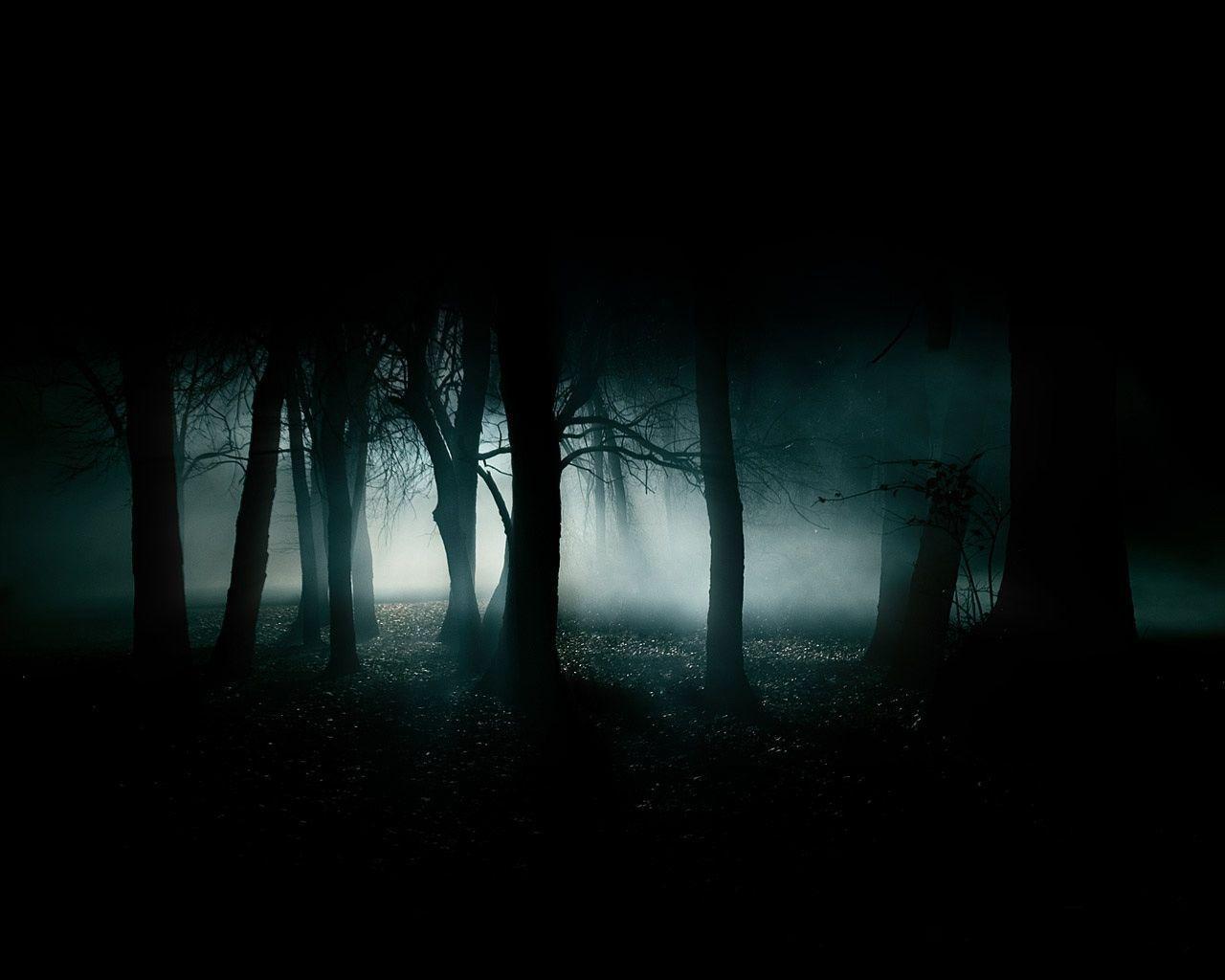 Dark Foggy Night Wallpapers - Top Free Dark Foggy Night Backgrounds ...