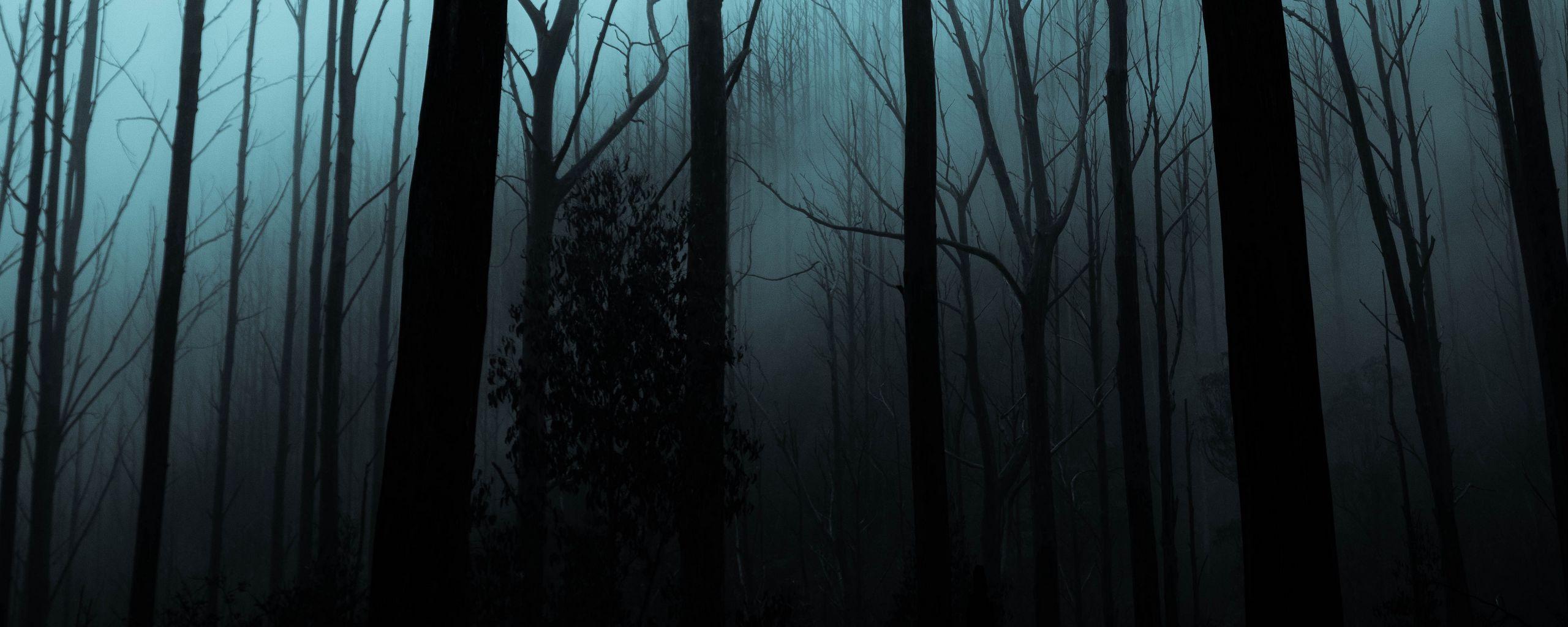 Dark Foggy Night Wallpapers - Top Free Dark Foggy Night Backgrounds ...