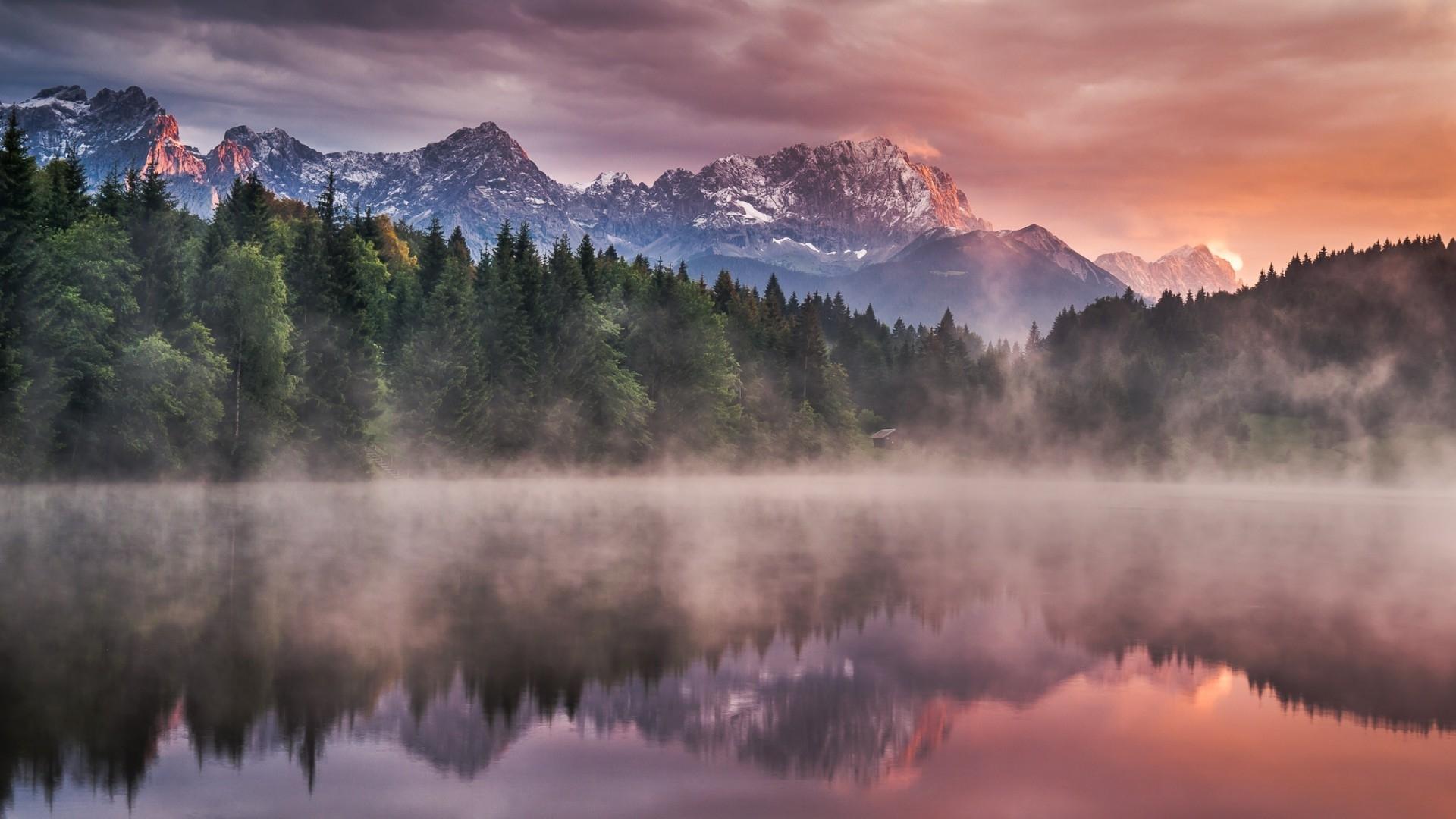 Tree 1920X1080 Wallpapers - Top Free Tree 1920X1080 Backgrounds ...