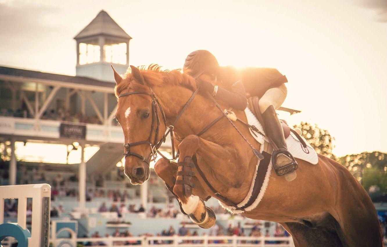 Show Jumping Wallpapers - Top Free Show Jumping Backgrounds ...
