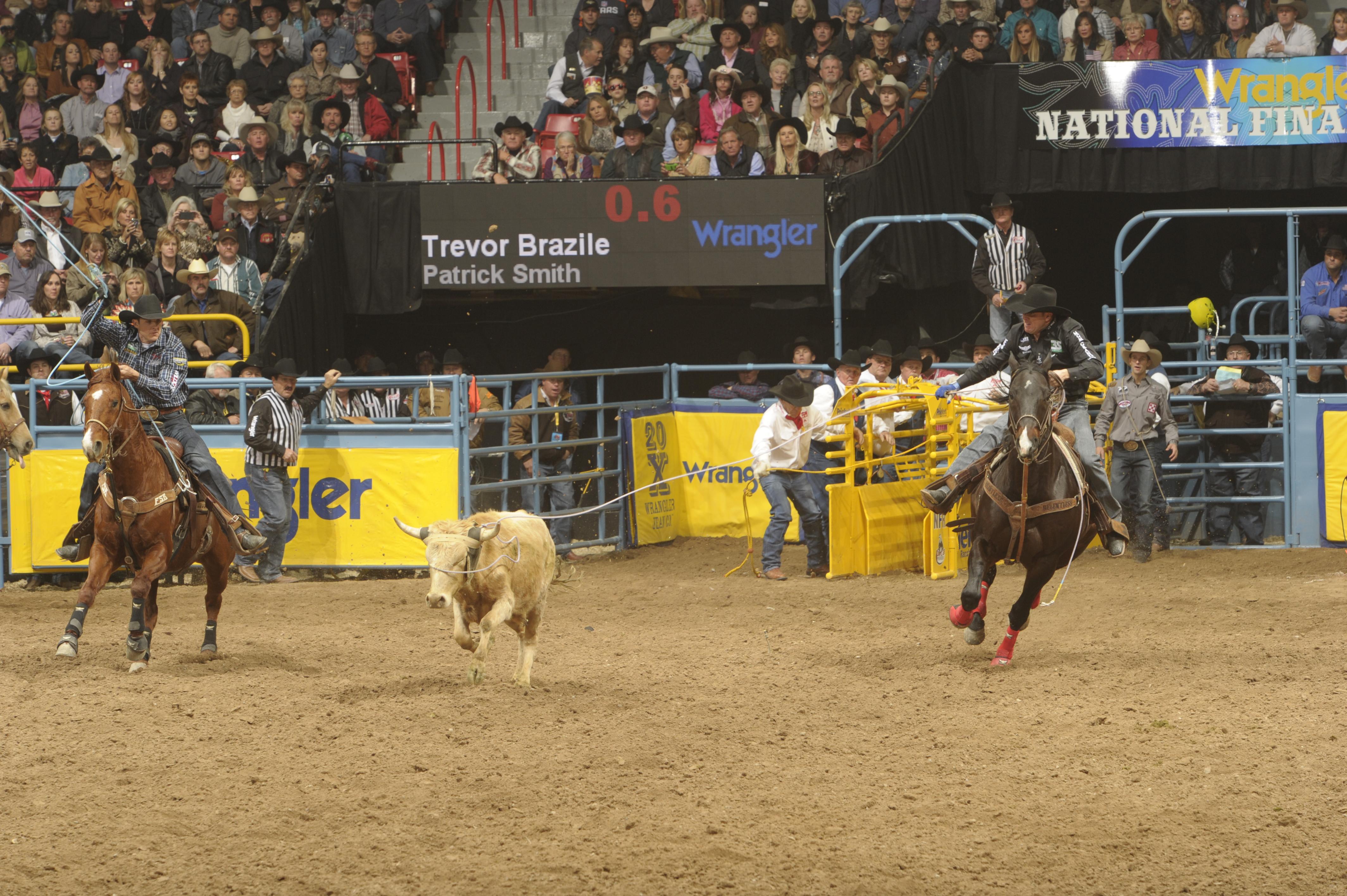 Team Roping Wallpapers - Top Free Team Roping Backgrounds - WallpaperAccess