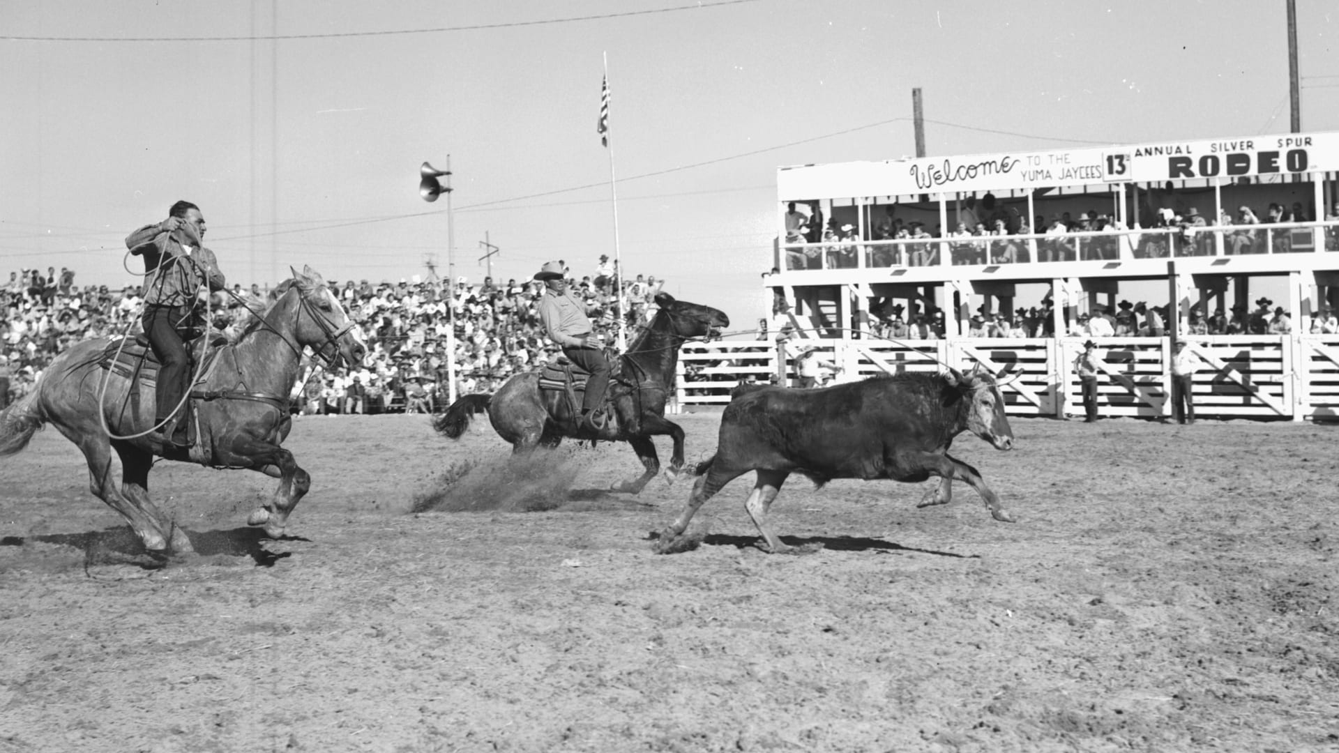 Team Roping Wallpapers - Top Free Team Roping Backgrounds - WallpaperAccess