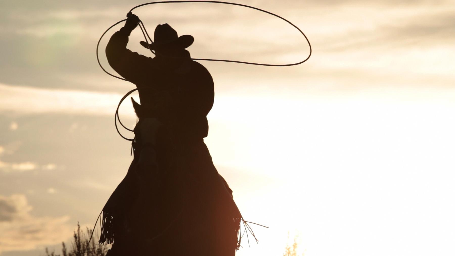 Team Roping Wallpapers - Top Free Team Roping Backgrounds - WallpaperAccess