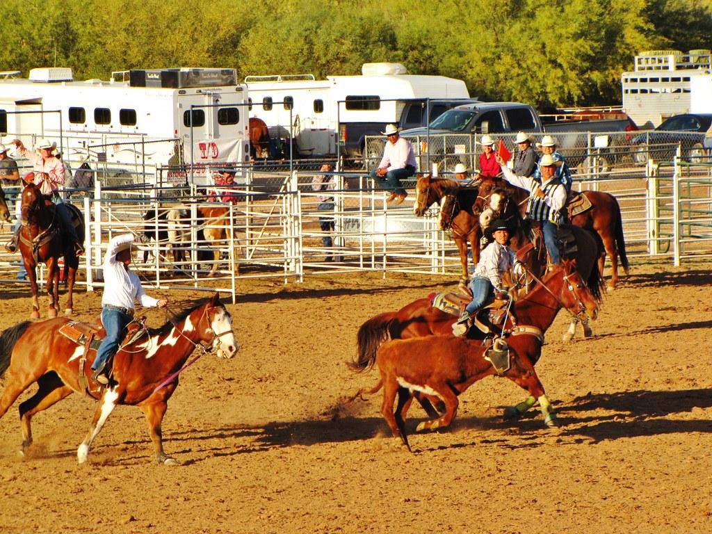 Team Roping Wallpapers - Top Free Team Roping Backgrounds - WallpaperAccess