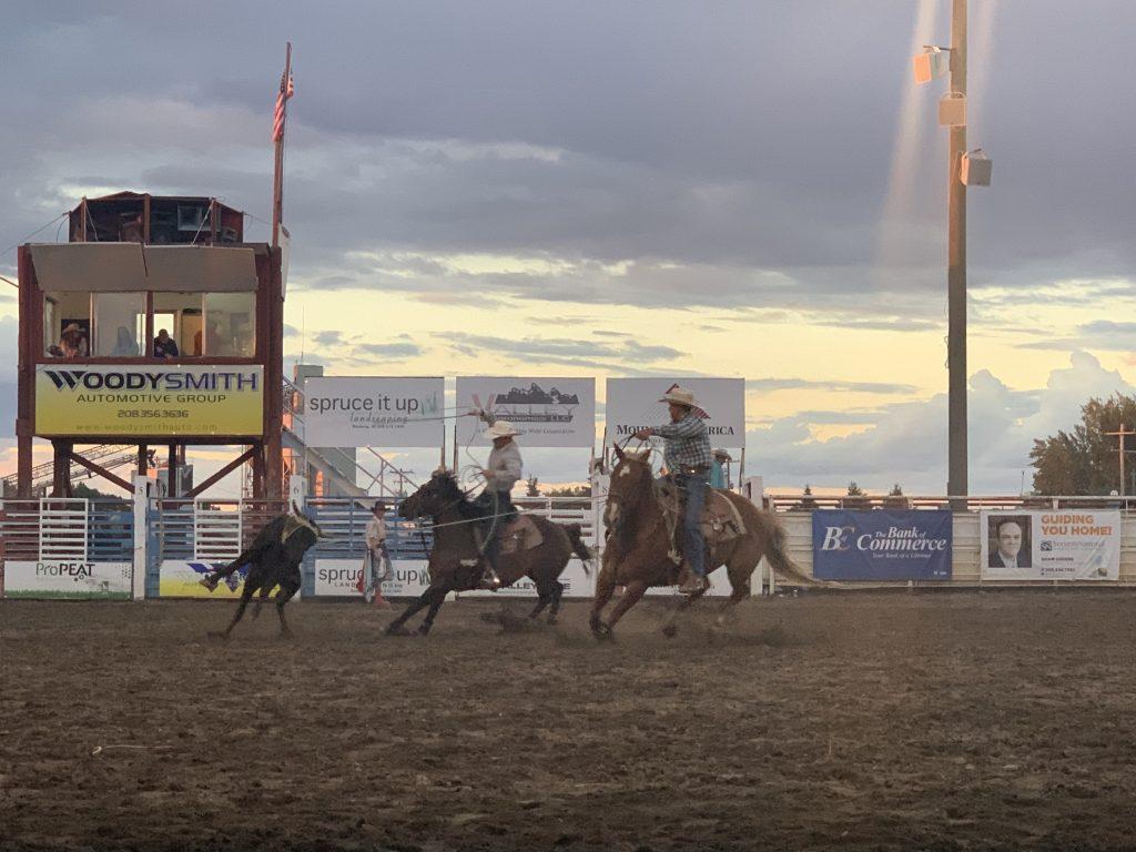 Team Roping Wallpapers - Top Free Team Roping Backgrounds - WallpaperAccess