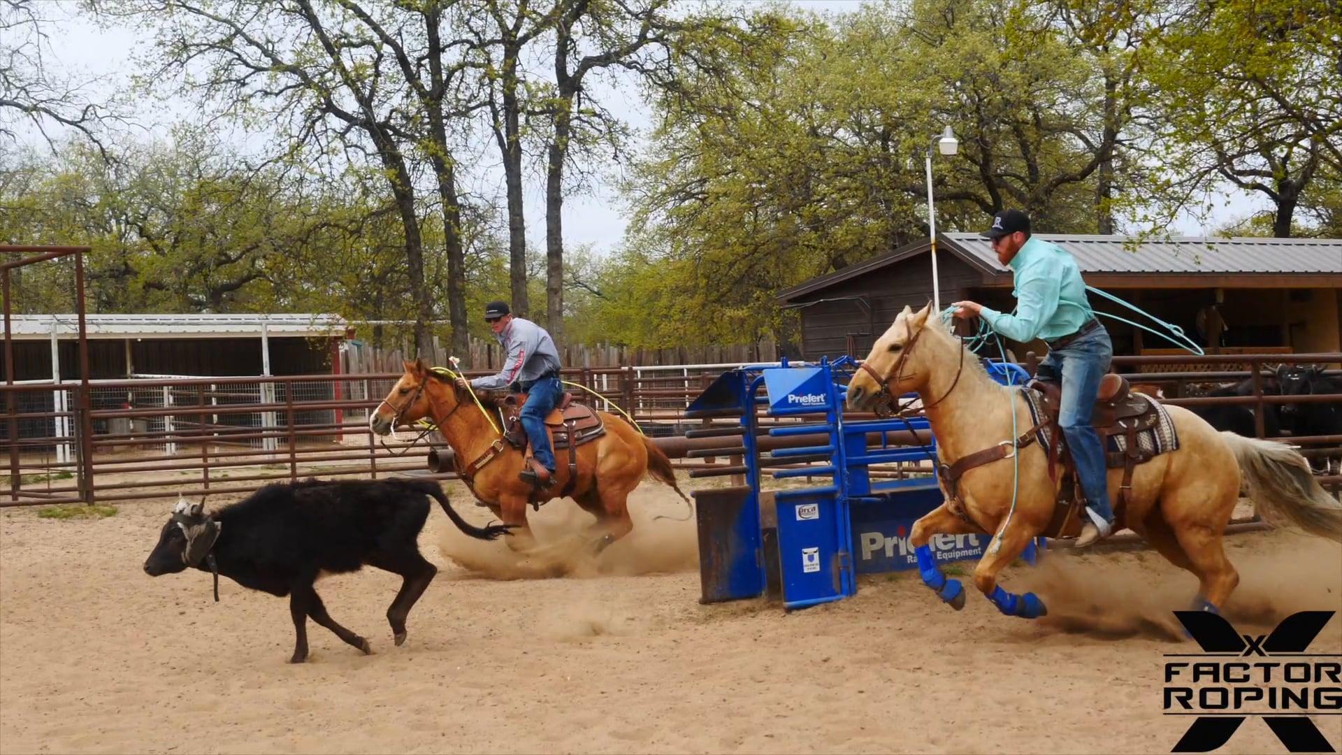 Team Roping Wallpapers - Top Free Team Roping Backgrounds - WallpaperAccess