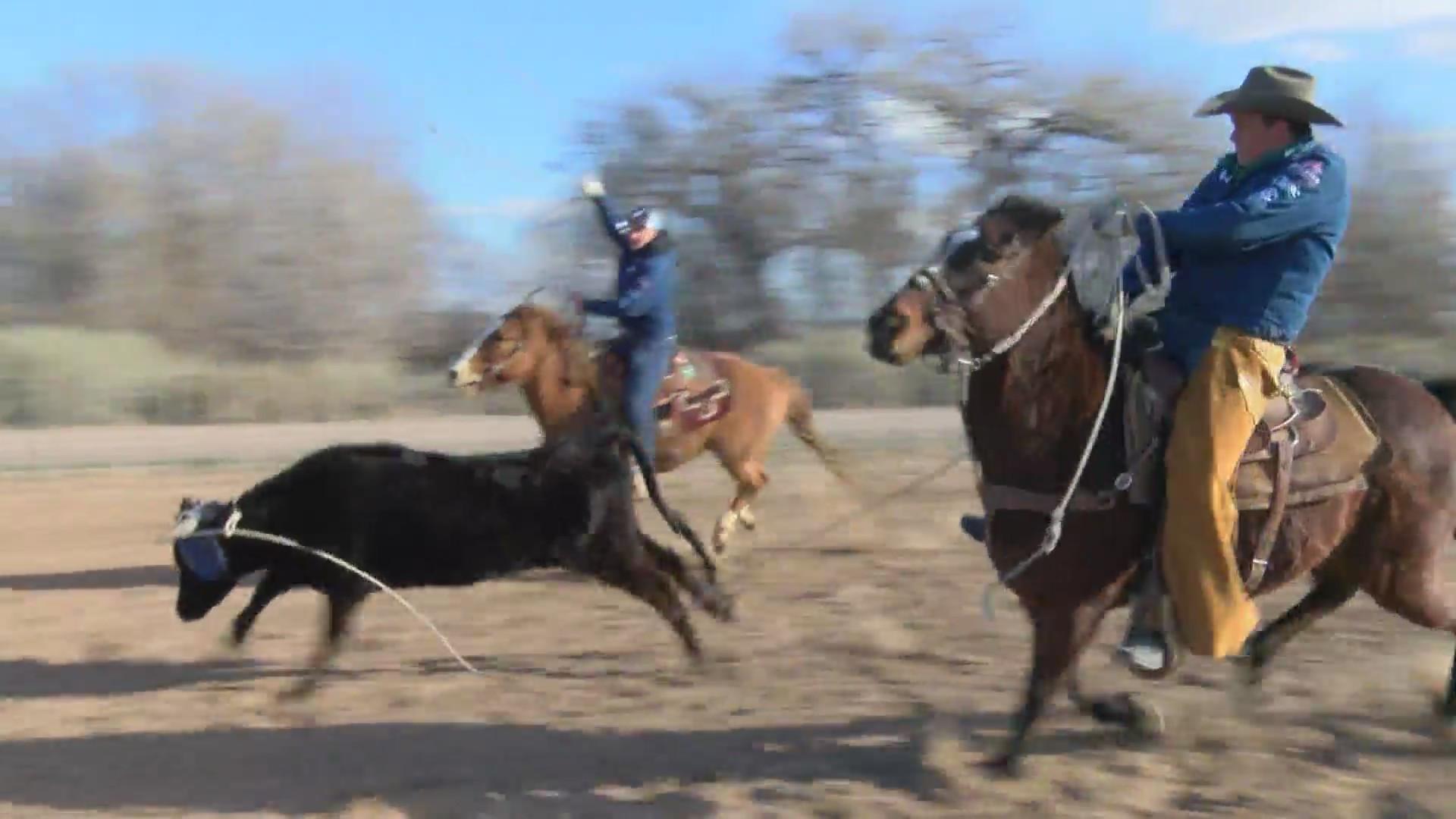 Team Roping Wallpapers - Top Free Team Roping Backgrounds - WallpaperAccess