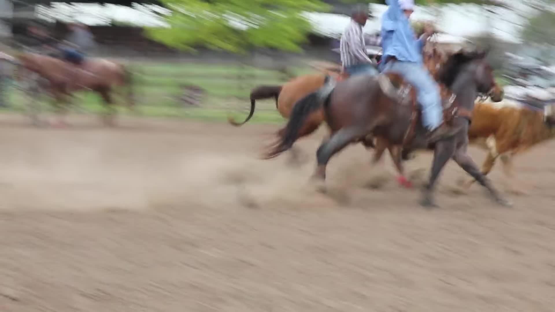 Team Roping Wallpapers - Top Free Team Roping Backgrounds - WallpaperAccess