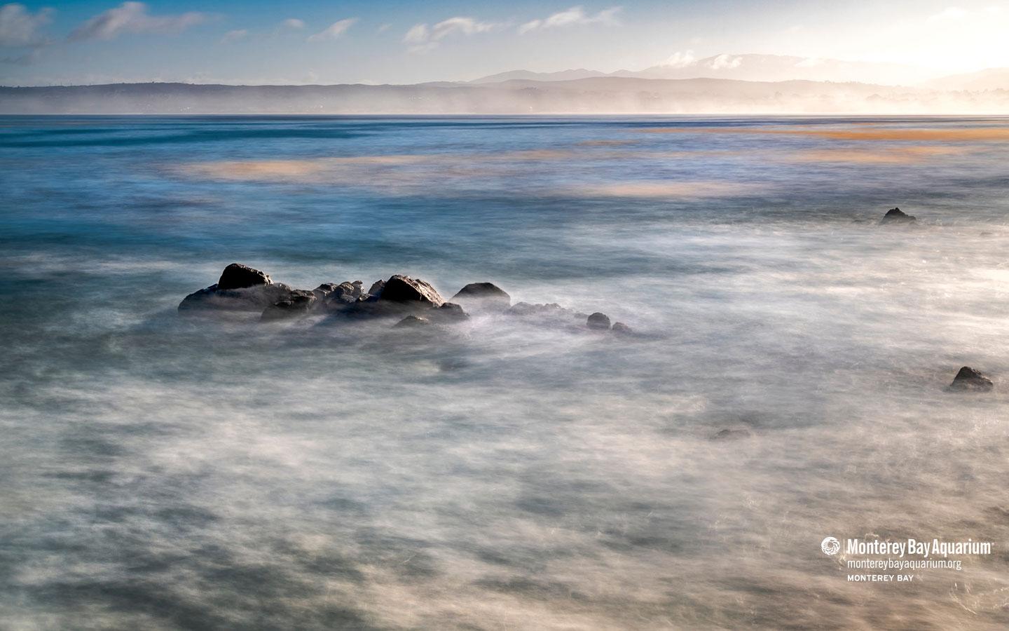 Monterey Bay Wallpapers - Top Free Monterey Bay Backgrounds ...