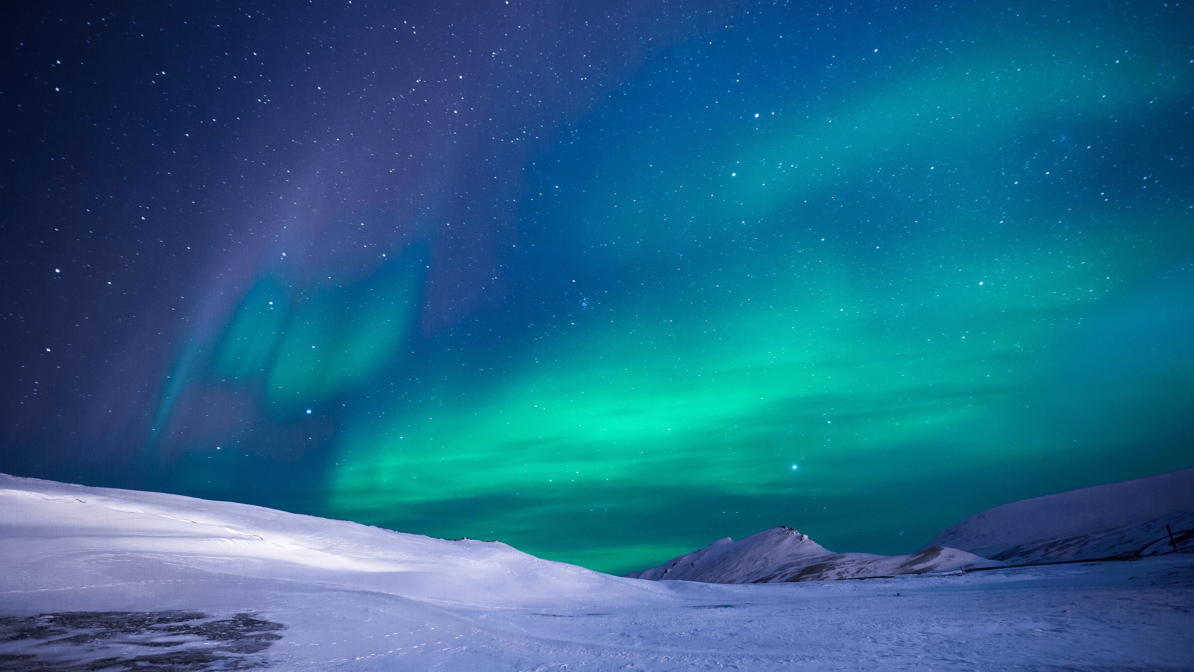 4K Bionic Wallpapers - Top Free 4K Bionic Backgrounds - WallpaperAccess