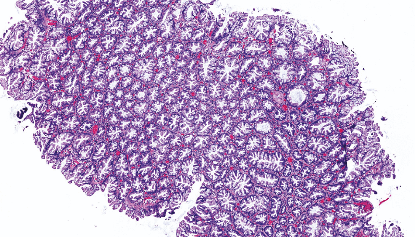 Histology Wallpapers - Top Free Histology Backgrounds - WallpaperAccess