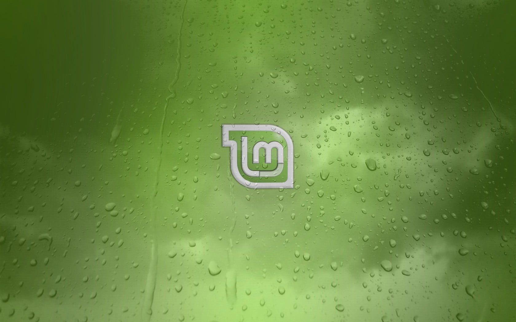 Dark Linux Mint Wallpapers - Top Free Dark Linux Mint Backgrounds ...