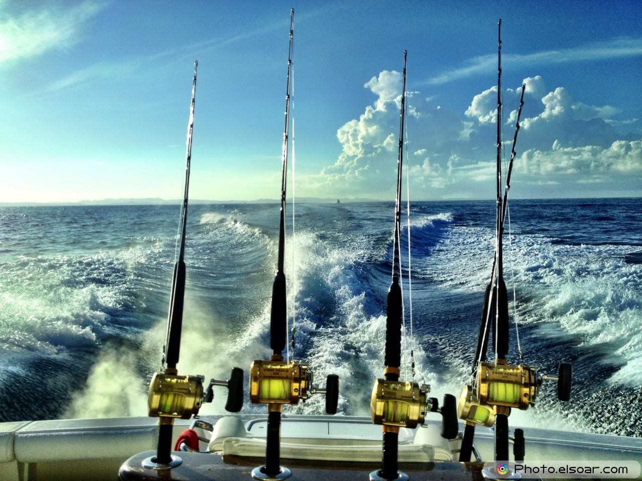 Sport Fishing Wallpapers - Top Free Sport Fishing Backgrounds ...