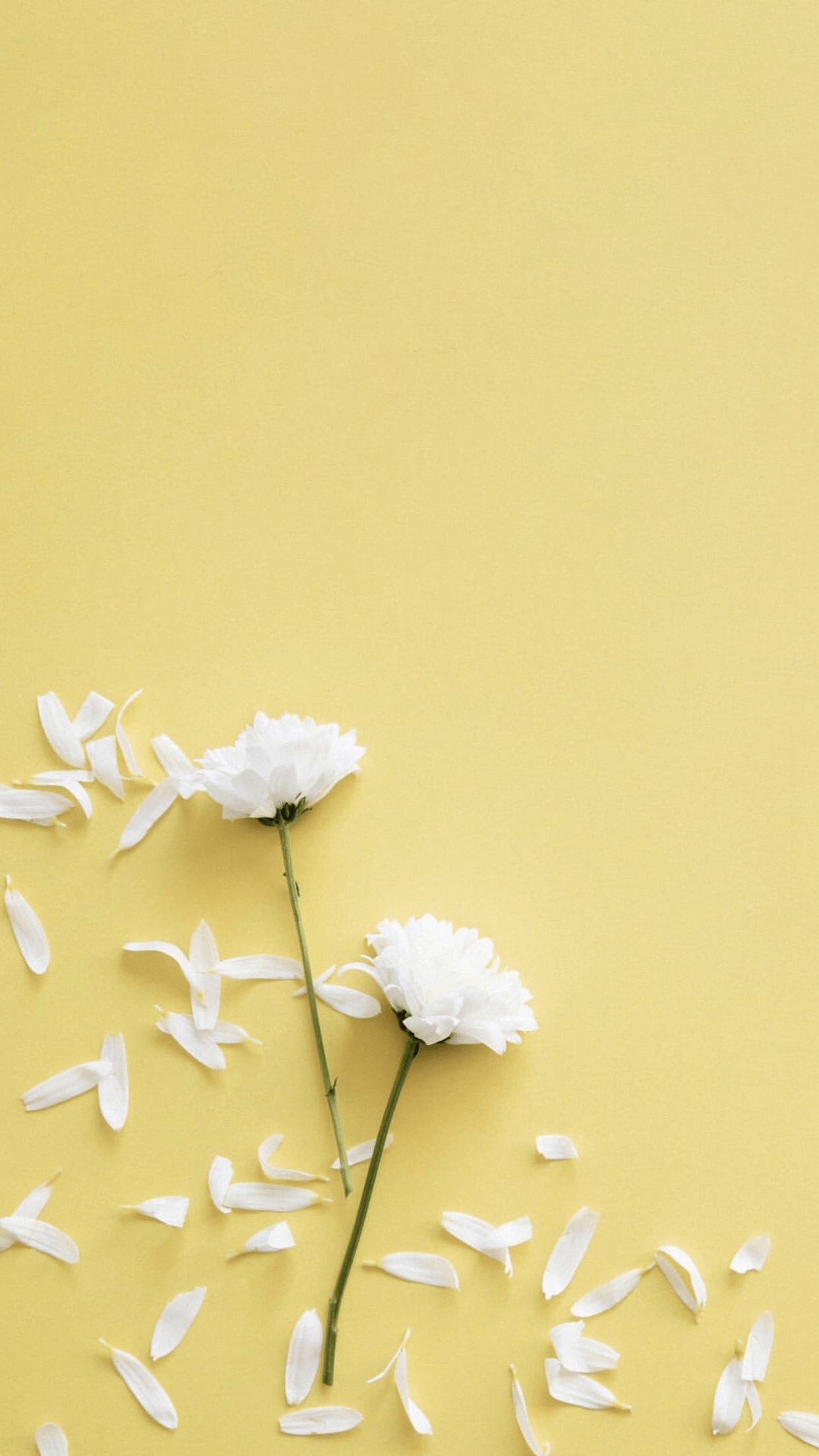 Yellow Pastel Tumblr Wallpapers - Top Free Yellow Pastel Tumblr ...