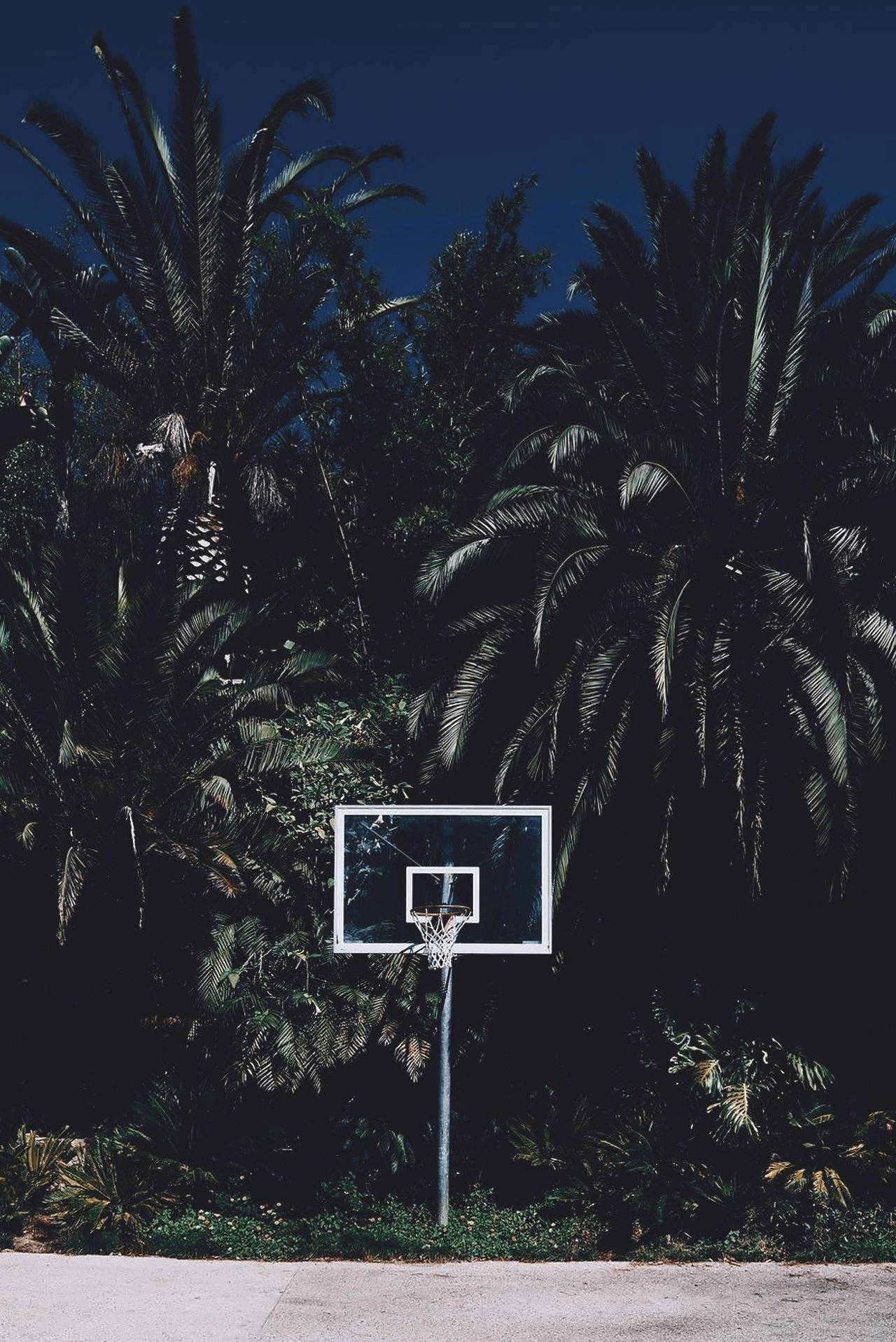 Basketball Goal Wallpapers - Top Free Basketball Goal Backgrounds ...