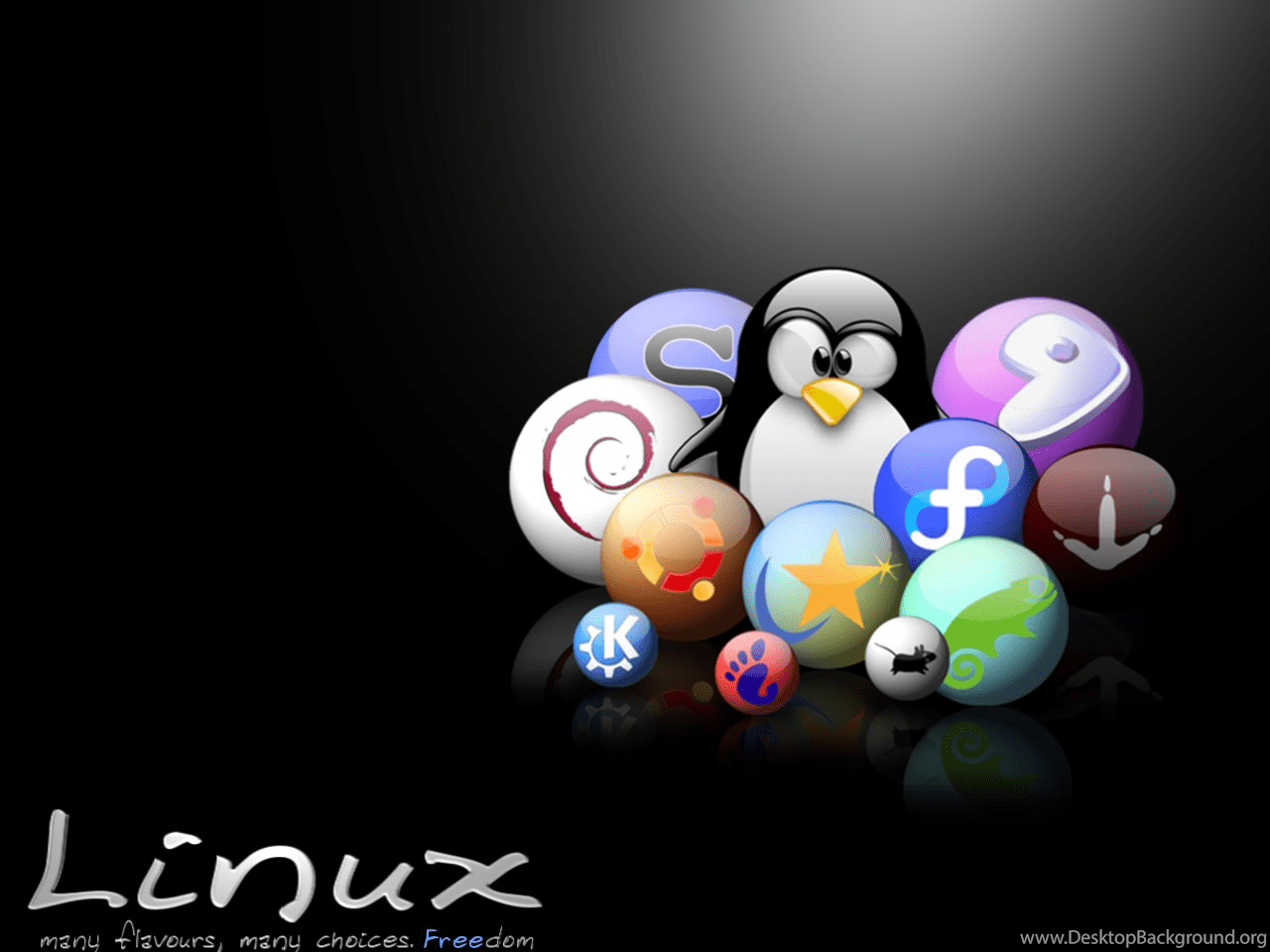 Linux Logo Wallpapers - Top Free Linux Logo Backgrounds - WallpaperAccess