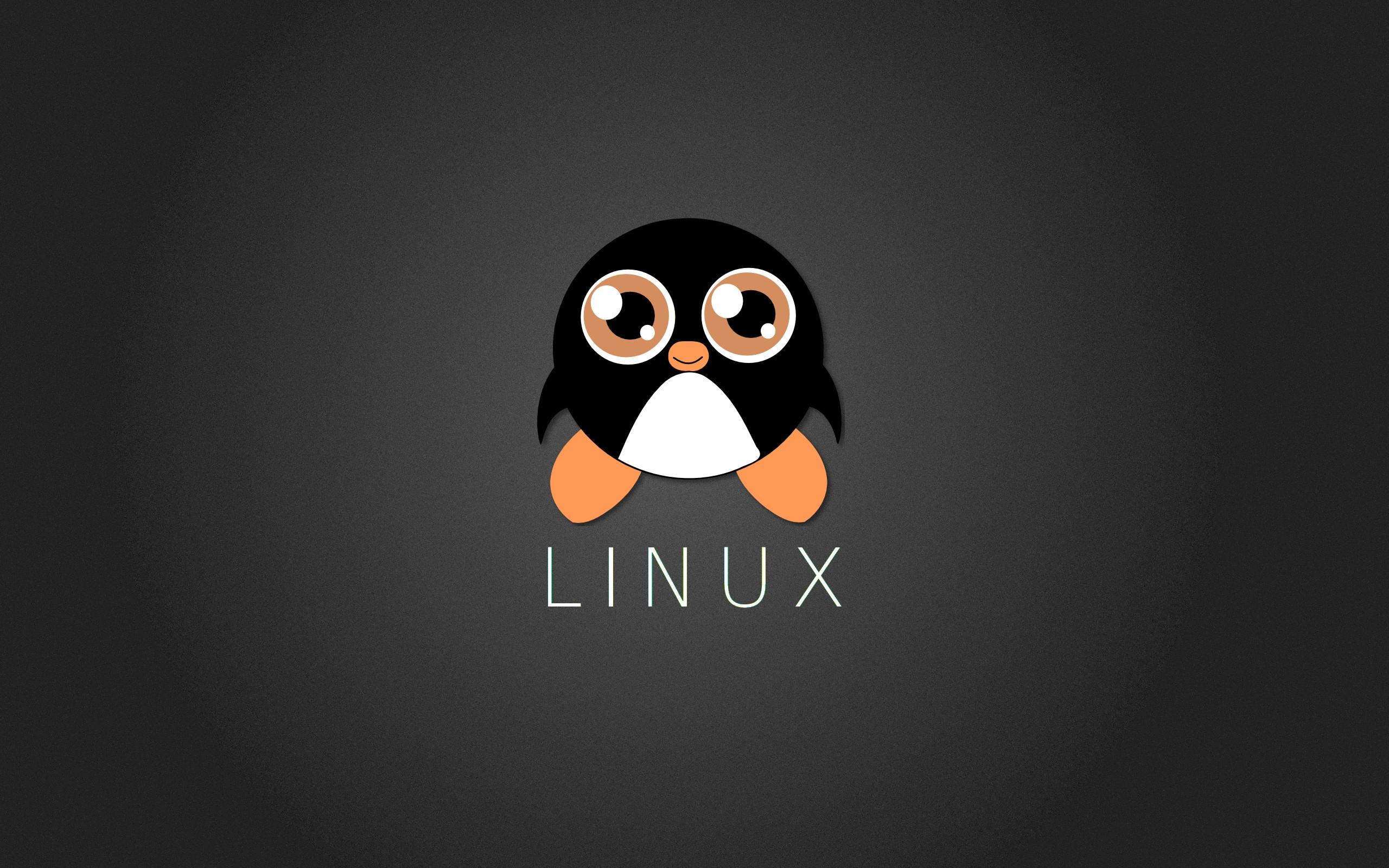 Linux Logo Wallpapers - Top Free Linux Logo Backgrounds - WallpaperAccess
