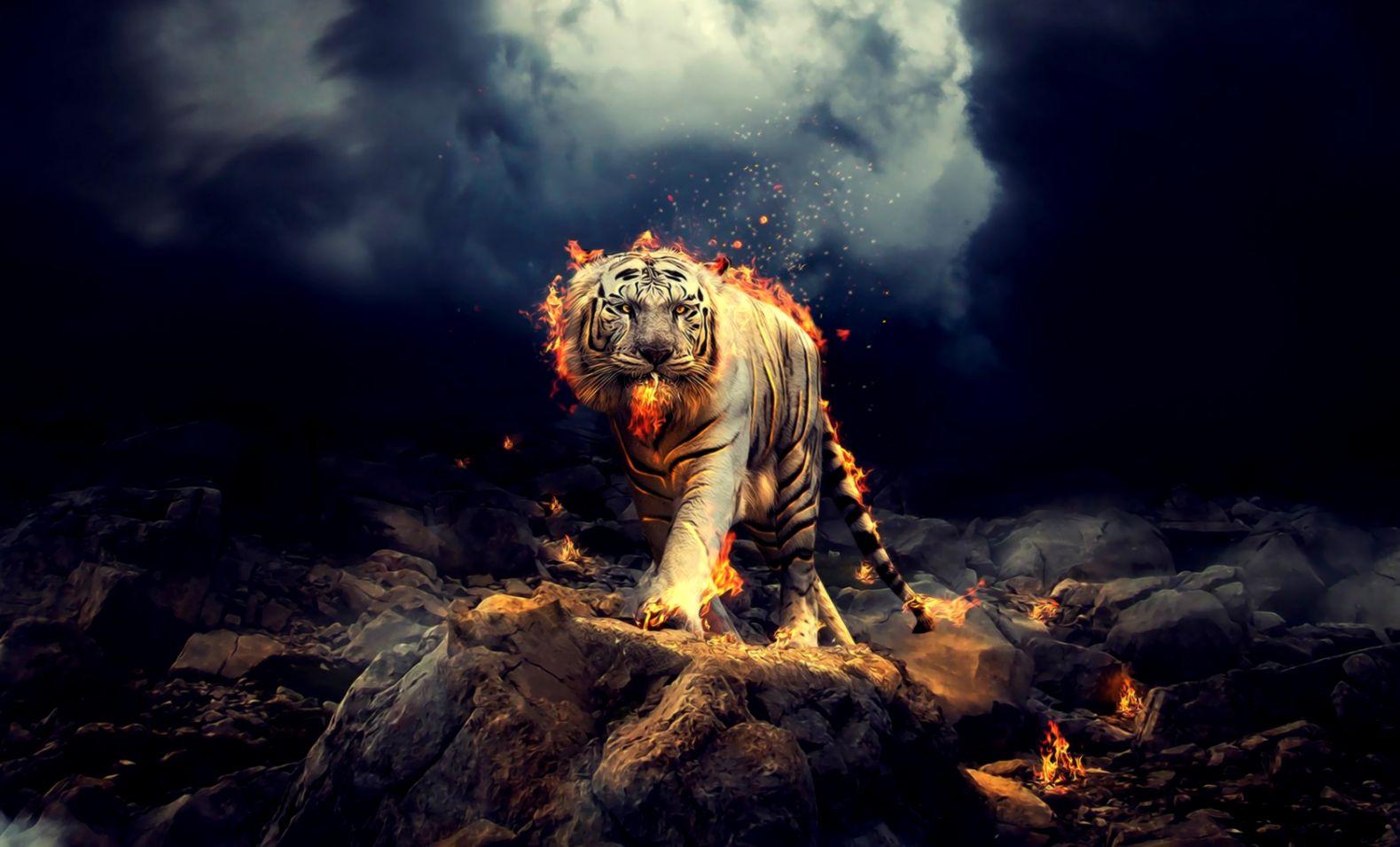 Aggressive Tiger Wallpapers - Top Free Aggressive Tiger Backgrounds ...