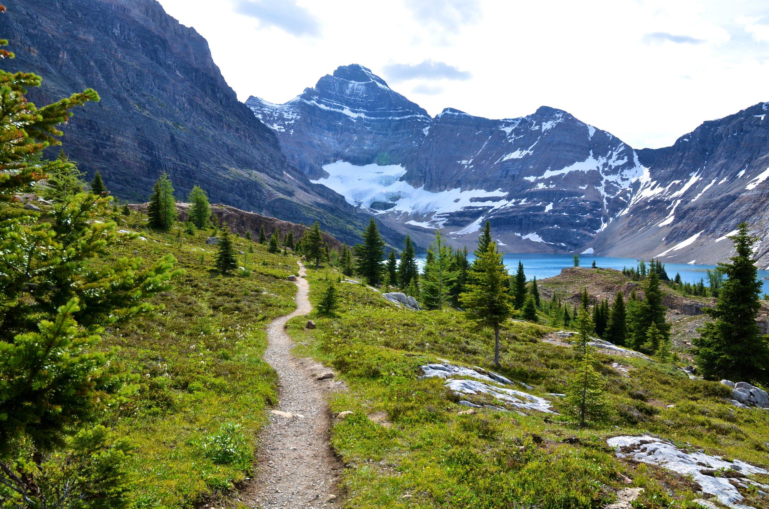 Mountain Trail Wallpapers Top Free Mountain Trail Backgrounds
