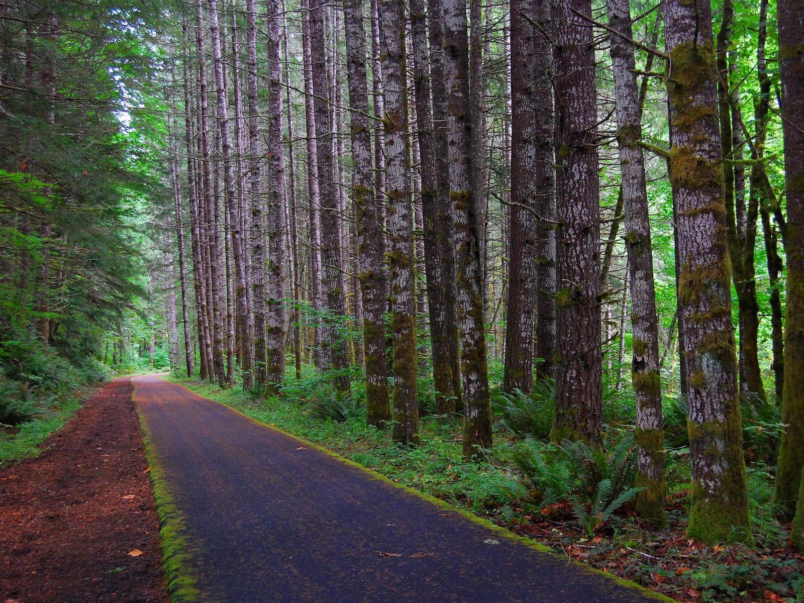 Mountain Trail Wallpapers - Top Free Mountain Trail Backgrounds ...