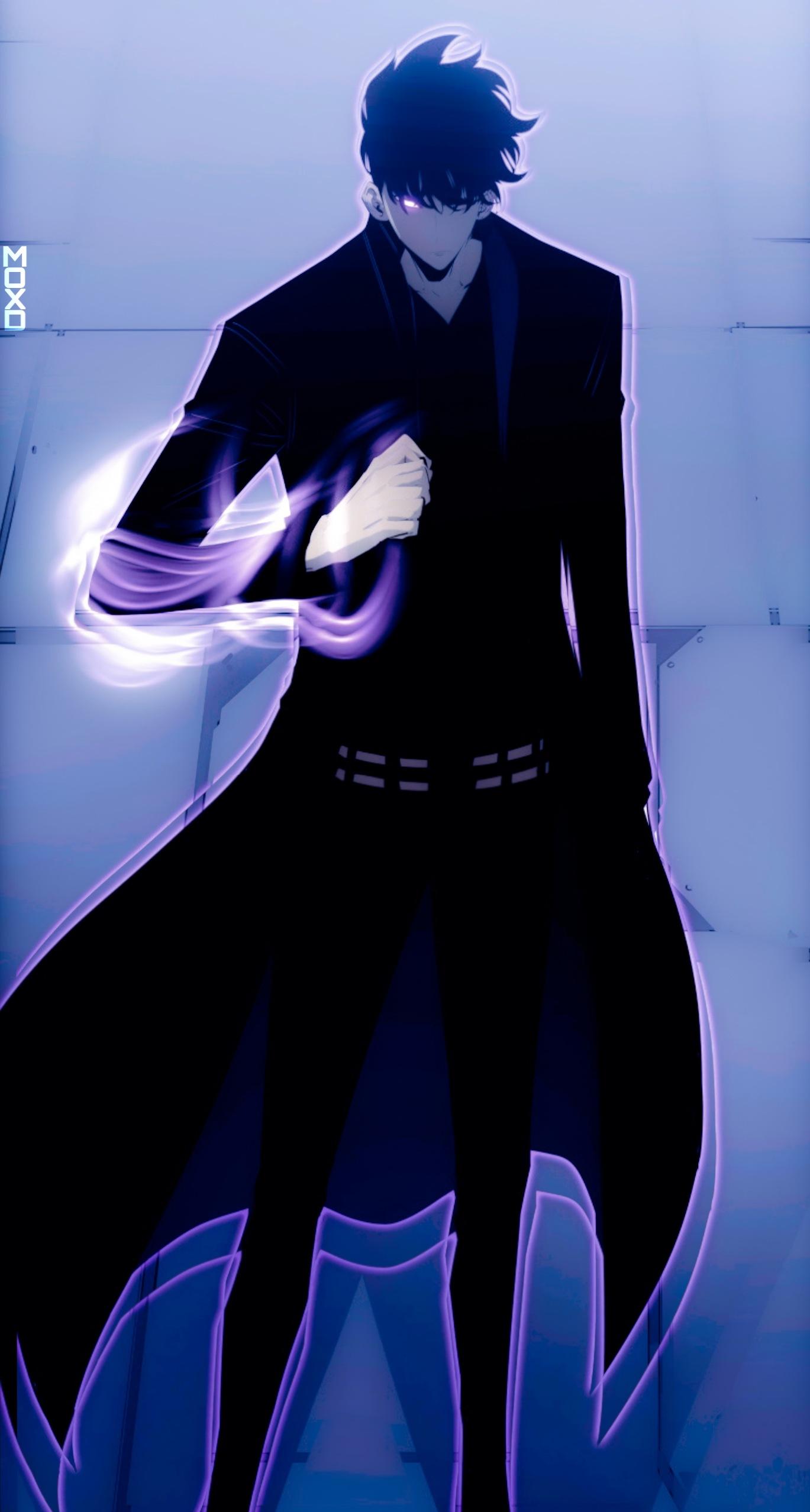 Solo Leveling Arise Wallpapers - Top Free Solo Leveling Arise ...