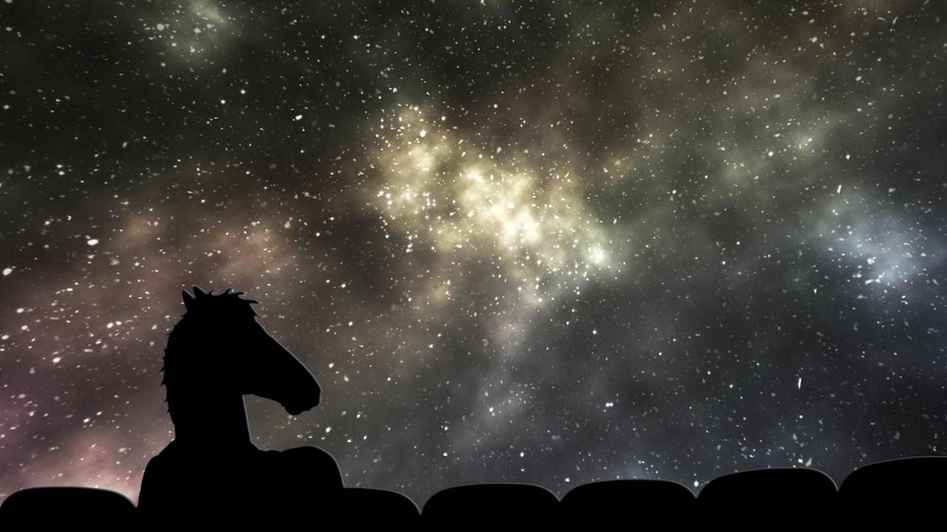 Bojack Horseman Minimal Wallpapers - Top Free Bojack Horseman Minimal ...