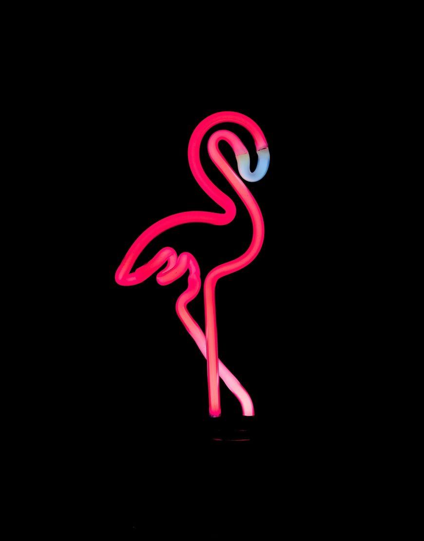 Neon Pink Flamingo Wallpapers - Top Free Neon Pink Flamingo Backgrounds ...