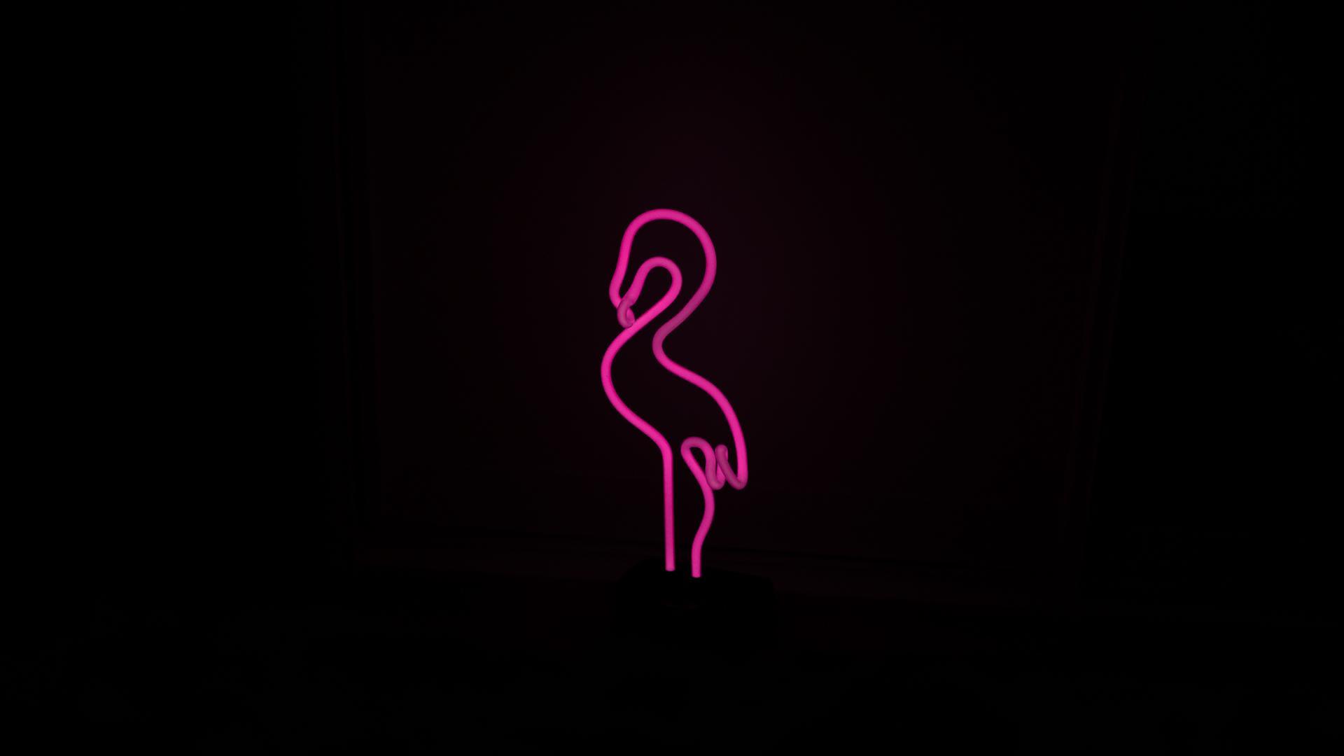 Neon Pink Flamingo Wallpapers - Top Free Neon Pink Flamingo Backgrounds ...