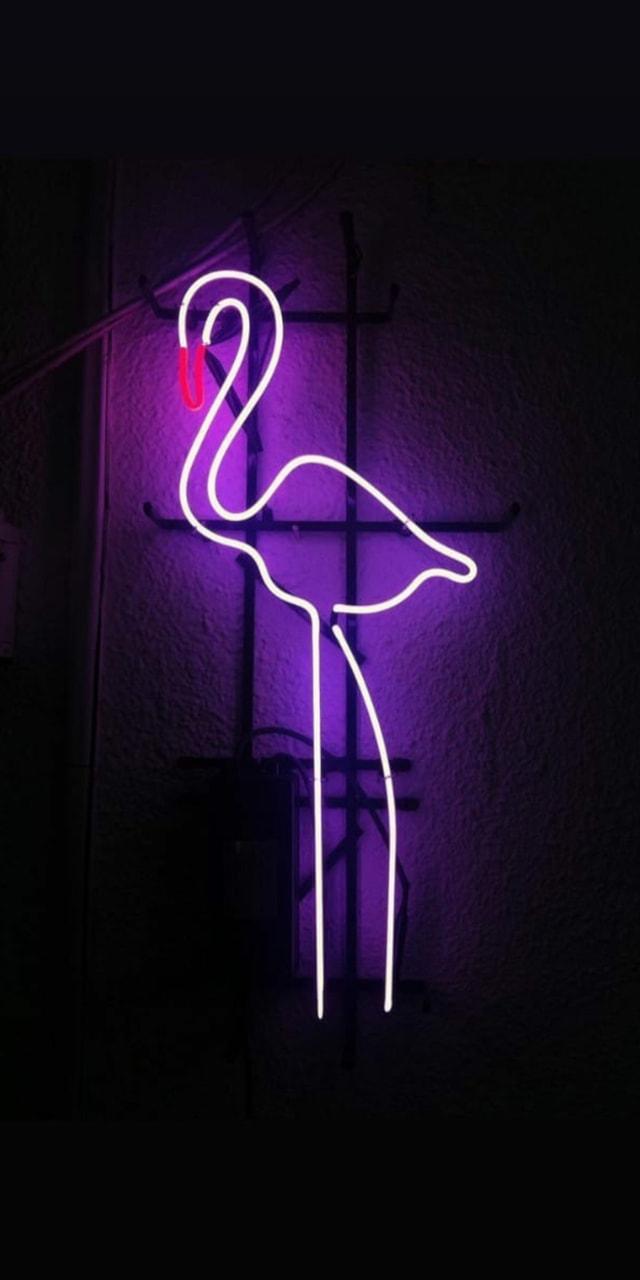 Neon Pink Flamingo Wallpapers - Top Free Neon Pink Flamingo Backgrounds ...