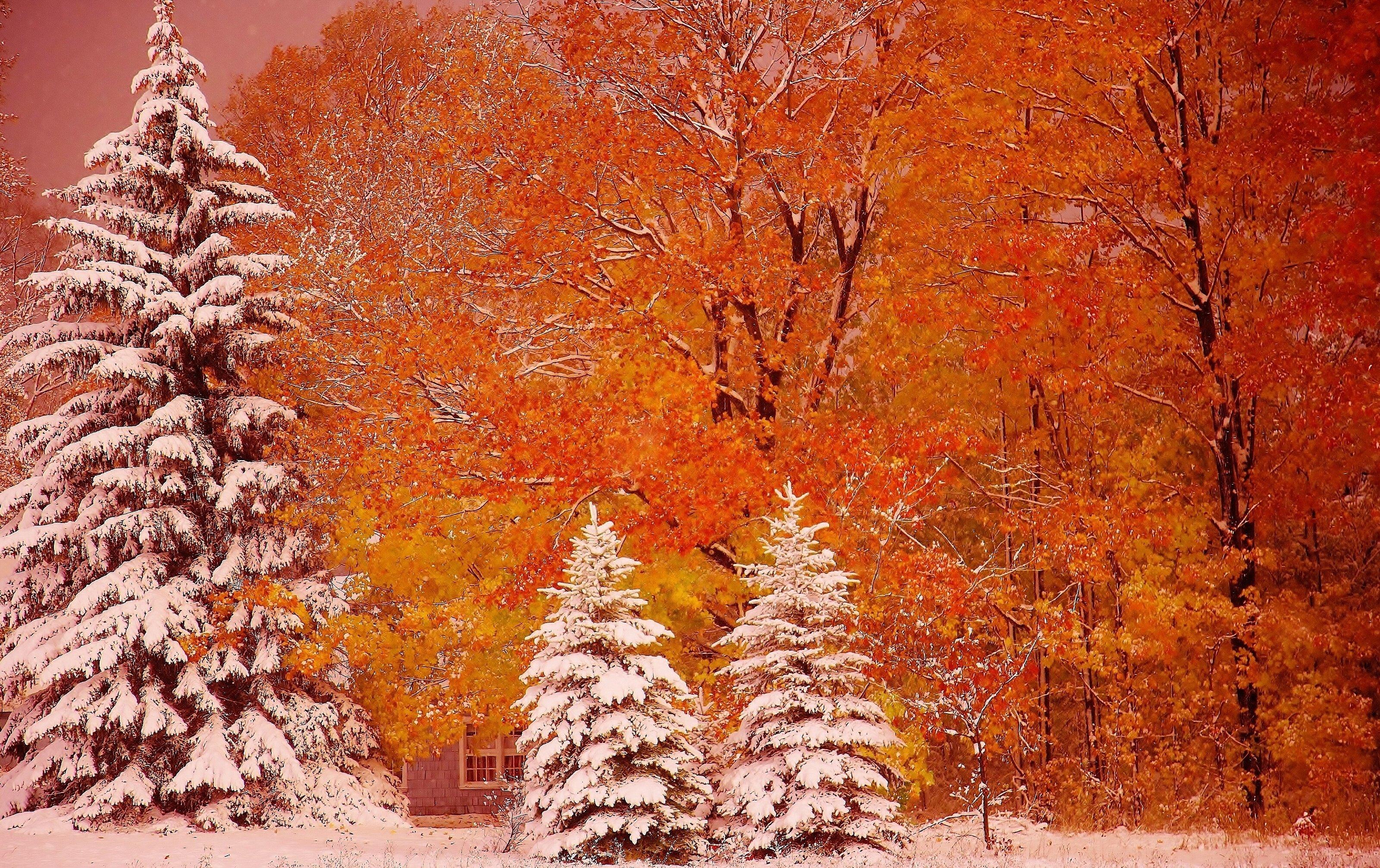 Autumn Snow Wallpapers - Top Free Autumn Snow Backgrounds - WallpaperAccess