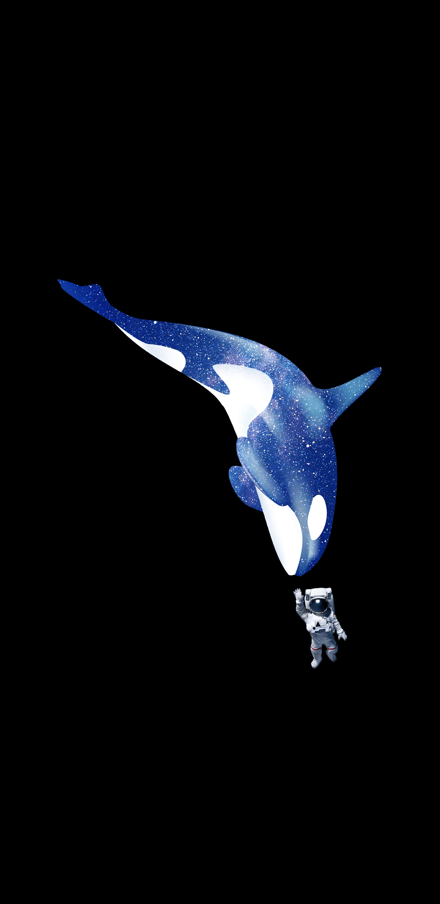 Orca Phone Wallpapers - Top Free Orca Phone Backgrounds - WallpaperAccess