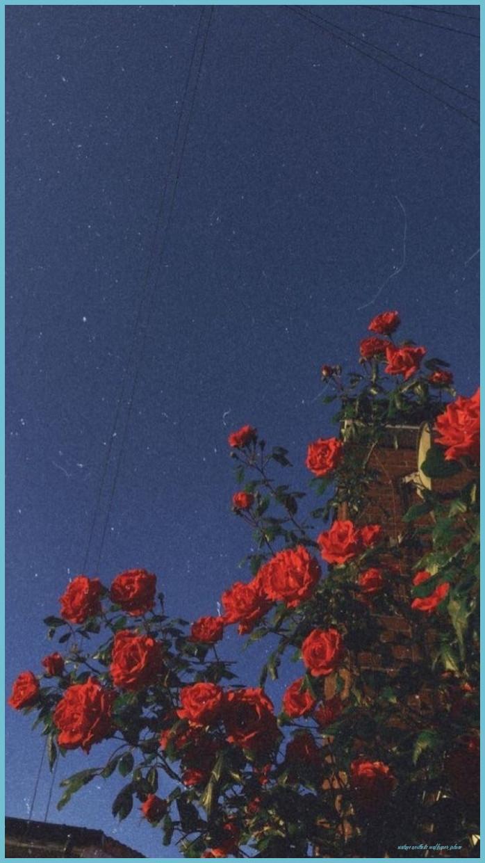 Indian Aesthetic Wallpapers - Top Free Indian Aesthetic Backgrounds ...