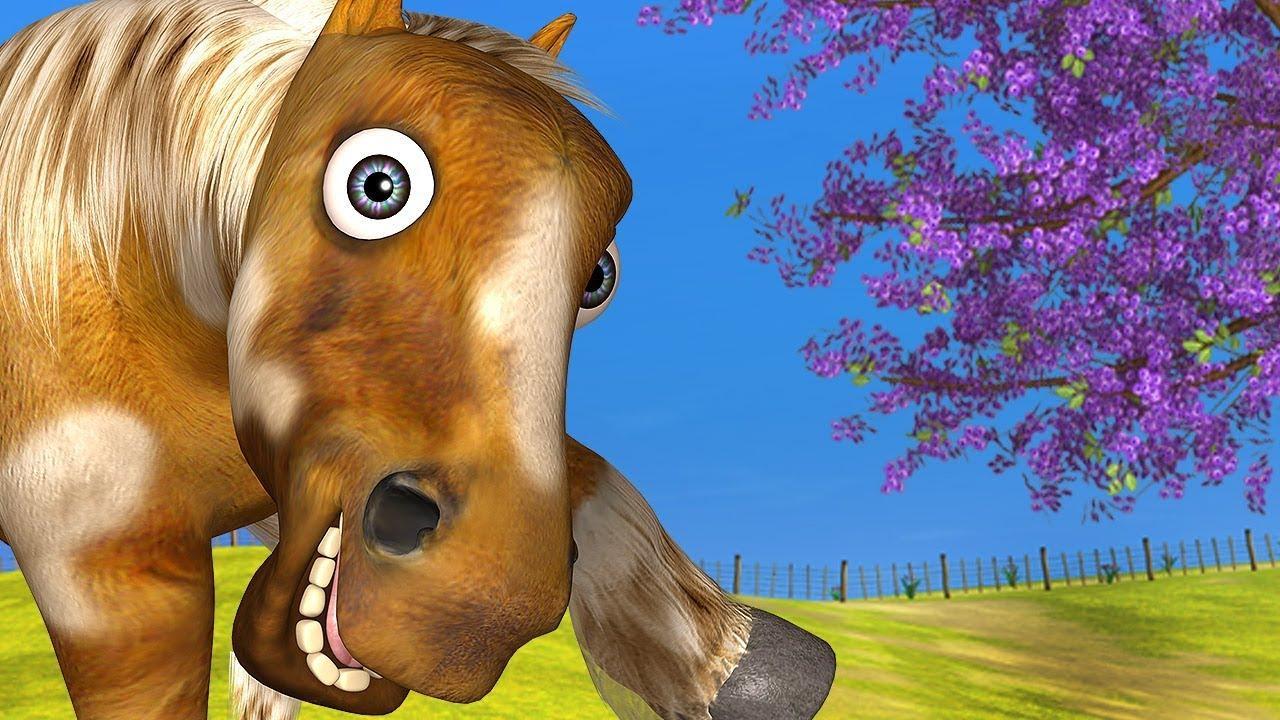 La Granja de Zenon Wallpapers - Top Free La Granja de Zenon Backgrounds ...