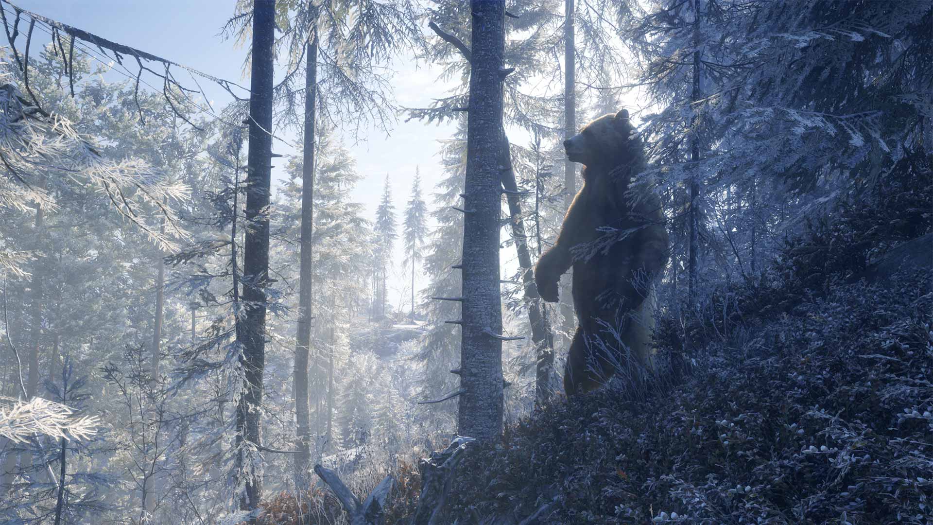 theHunter: Call of the Wild Wallpapers - Top Free theHunter: Call of ...