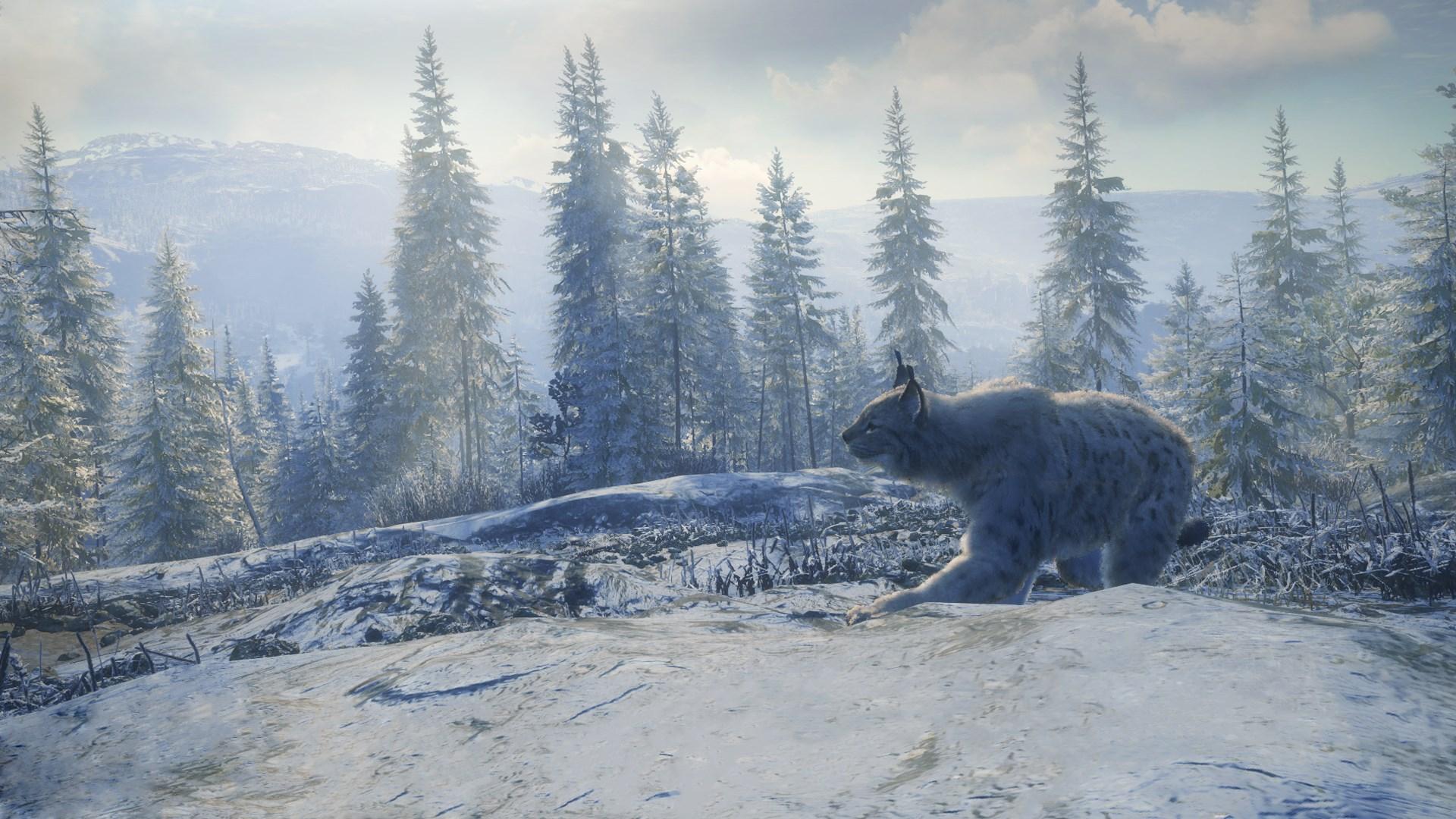 theHunter: Call of the Wild Wallpapers - Top Free theHunter: Call of ...