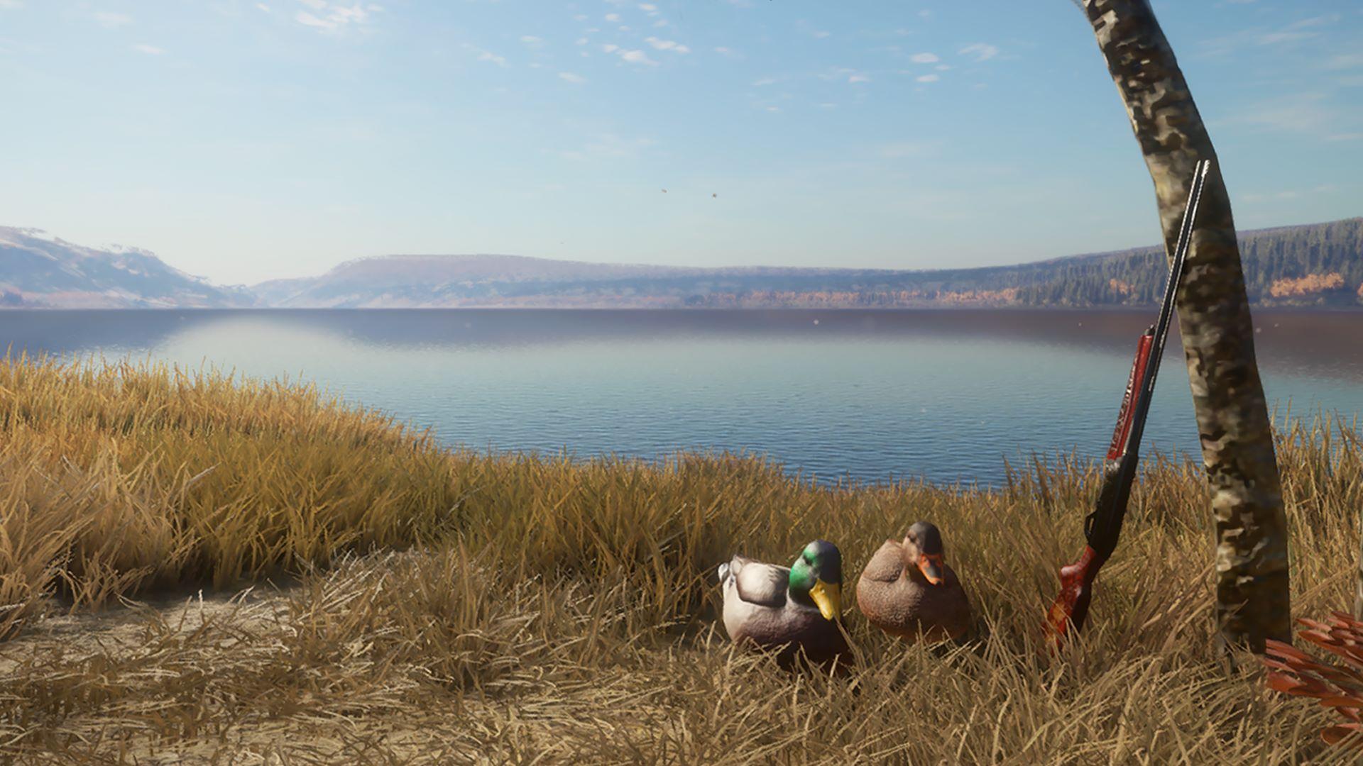 theHunter: Call of the Wild Wallpapers - Top Free theHunter: Call of ...