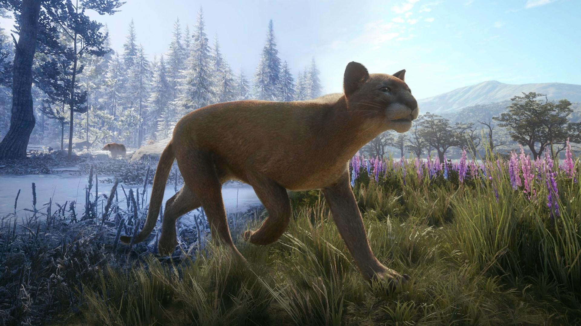 theHunter: Call of the Wild Wallpapers - Top Free theHunter: Call of ...