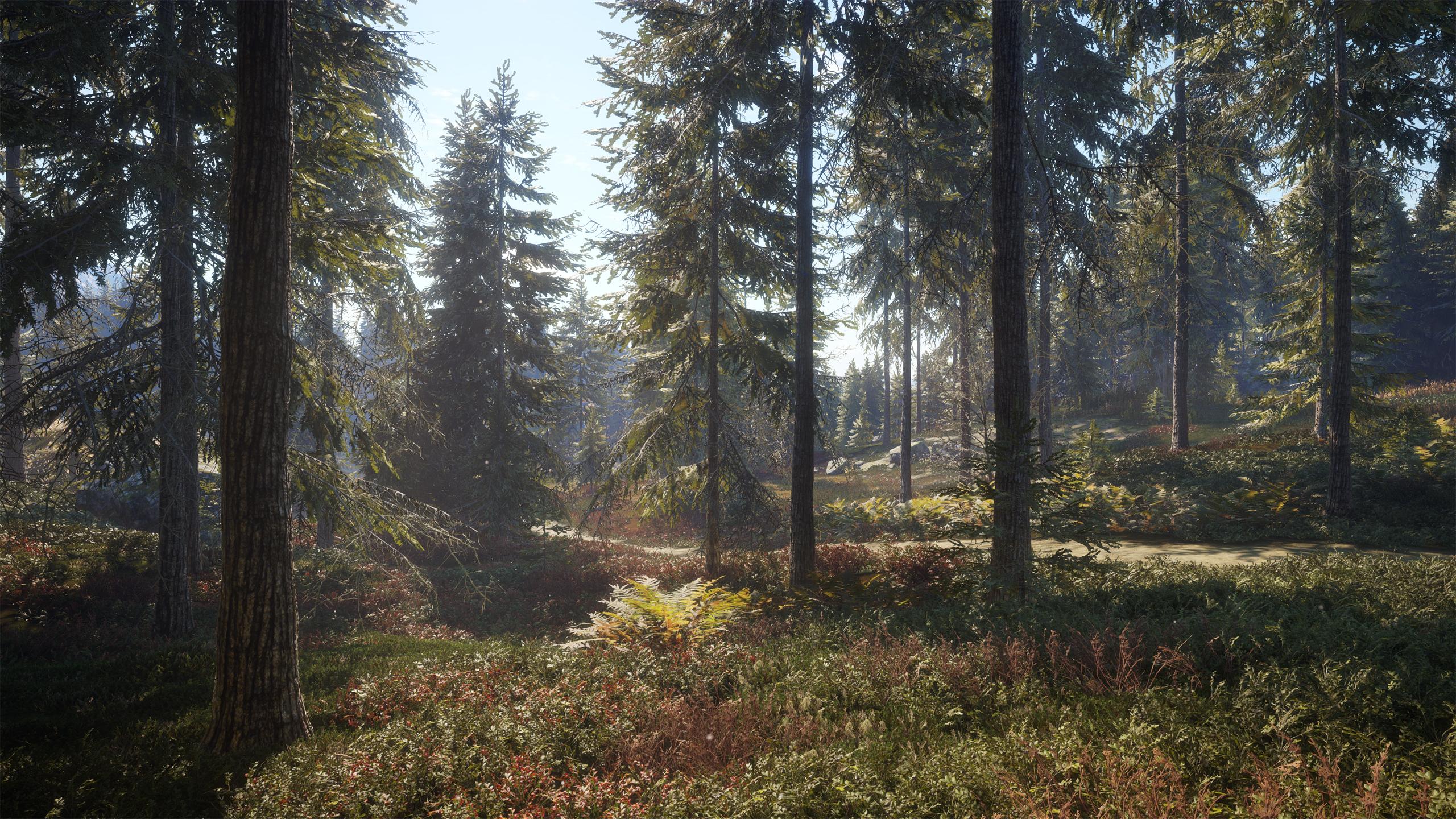 theHunter: Call of the Wild Wallpapers - Top Free theHunter: Call of ...