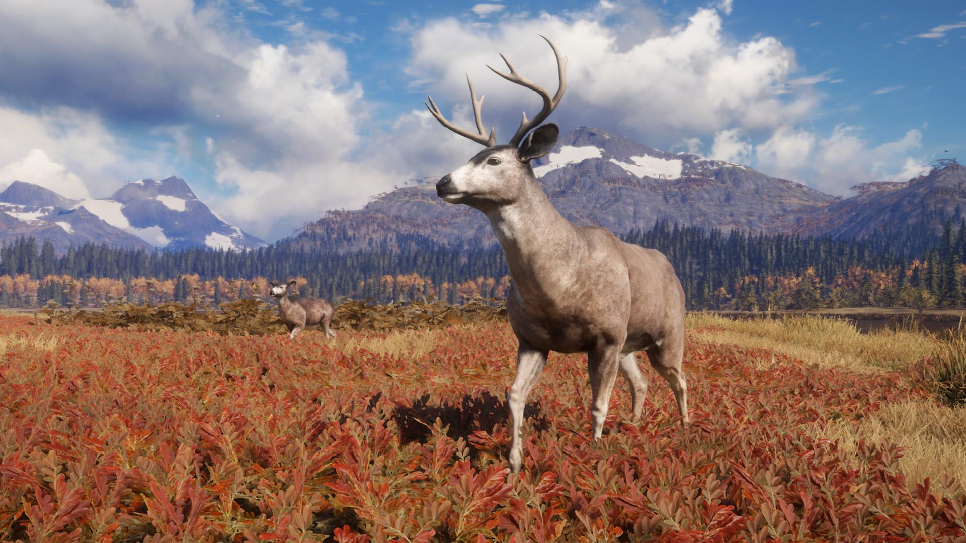 theHunter: Call of the Wild Wallpapers - Top Free theHunter: Call of ...