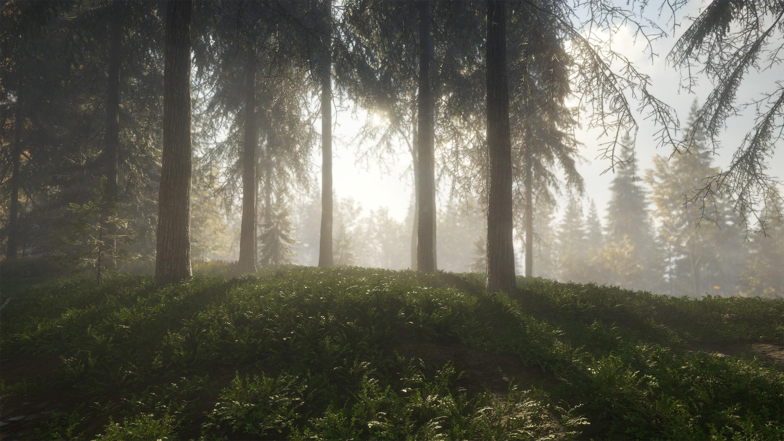 theHunter: Call of the Wild Wallpapers - Top Free theHunter: Call of ...