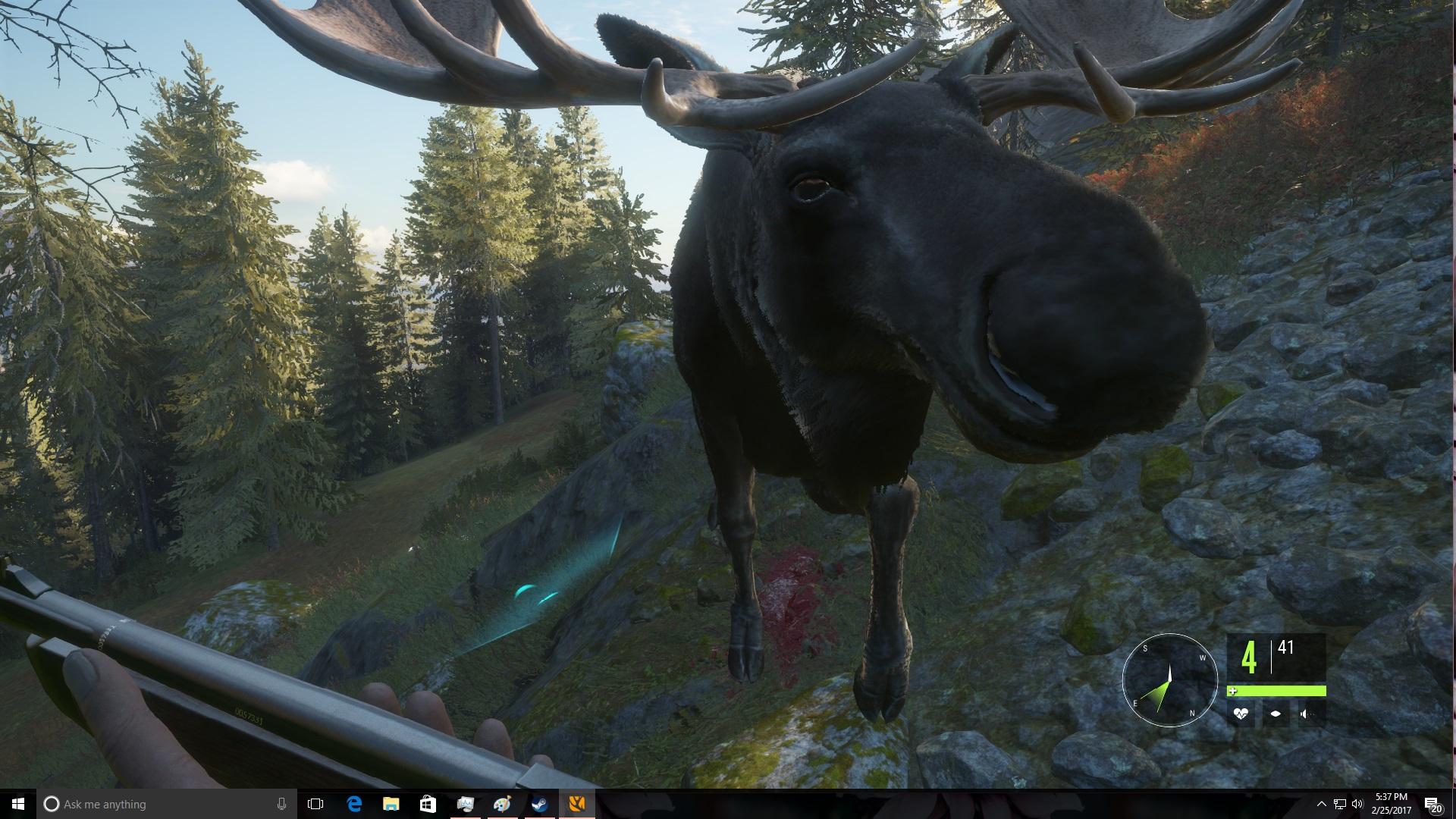 theHunter: Call of the Wild Wallpapers - Top Free theHunter: Call of ...