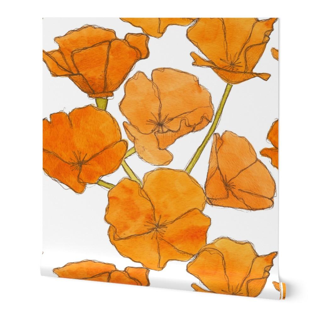 Orange Poppy Wallpapers - Top Free Orange Poppy Backgrounds ...