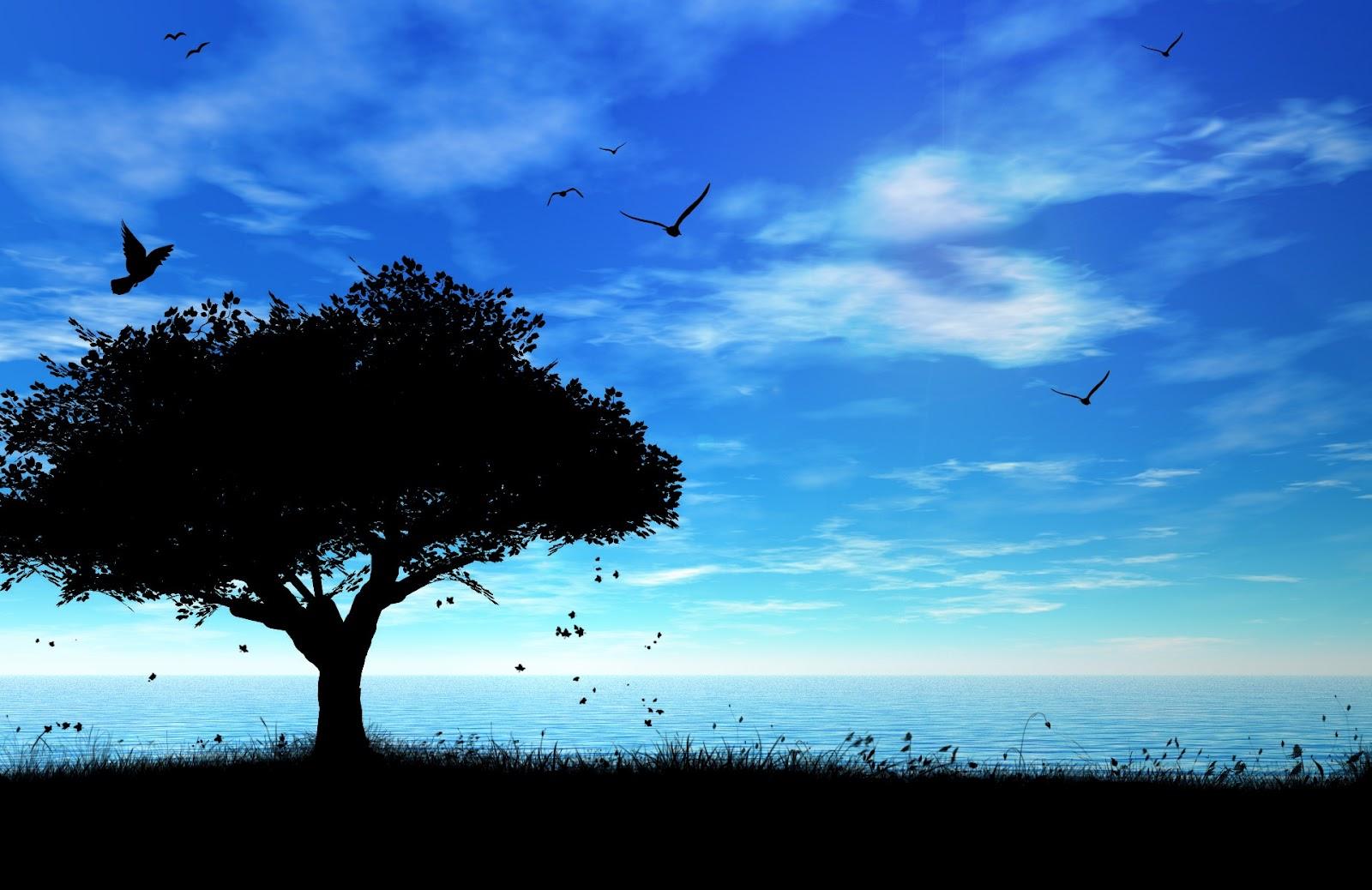 Blue Scenery Wallpapers - Top Free Blue Scenery Backgrounds ...