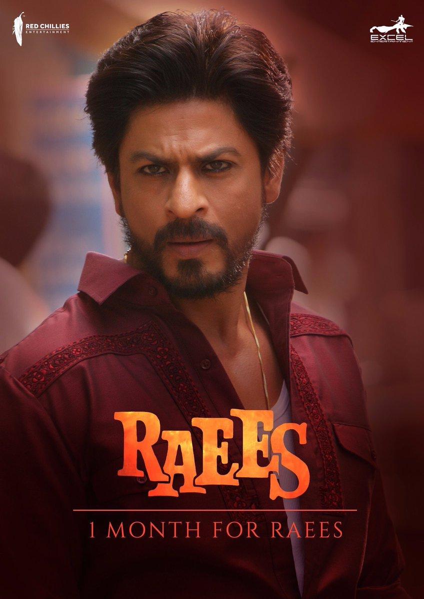 Raees Wallpapers - Top Free Raees Backgrounds - WallpaperAccess