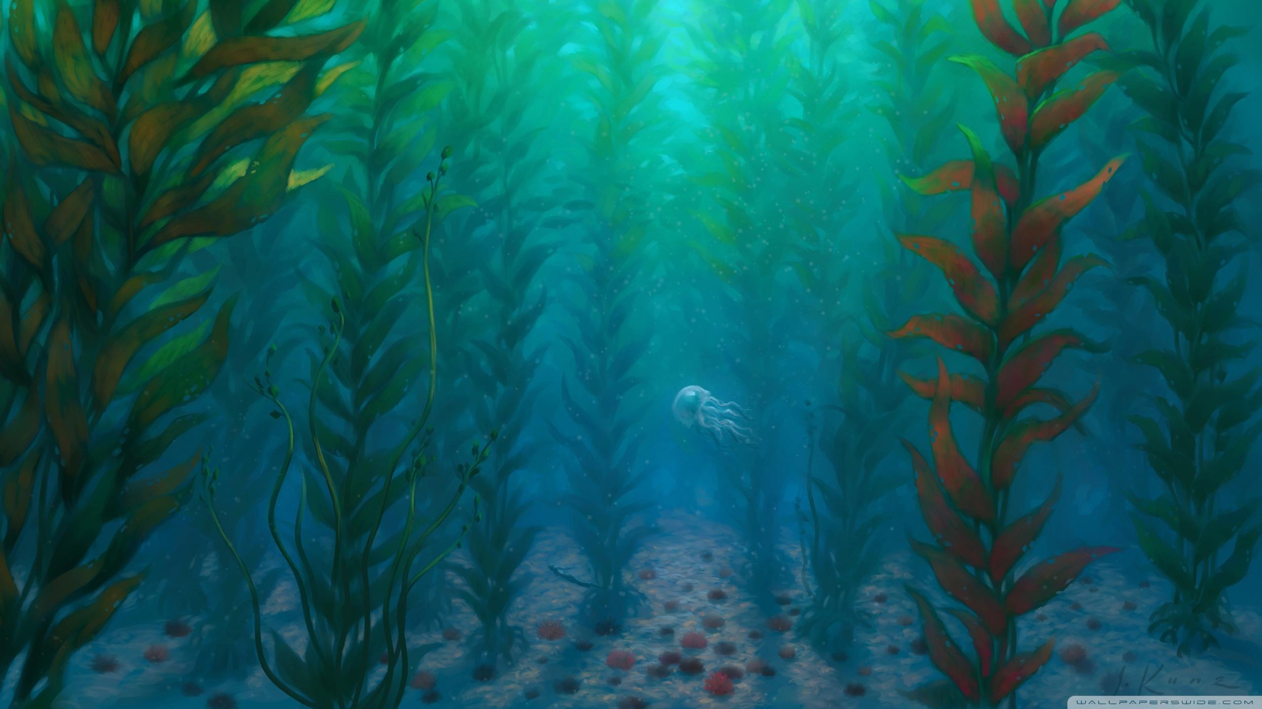 Seaweed Wallpapers - Top Free Seaweed Backgrounds - WallpaperAccess
