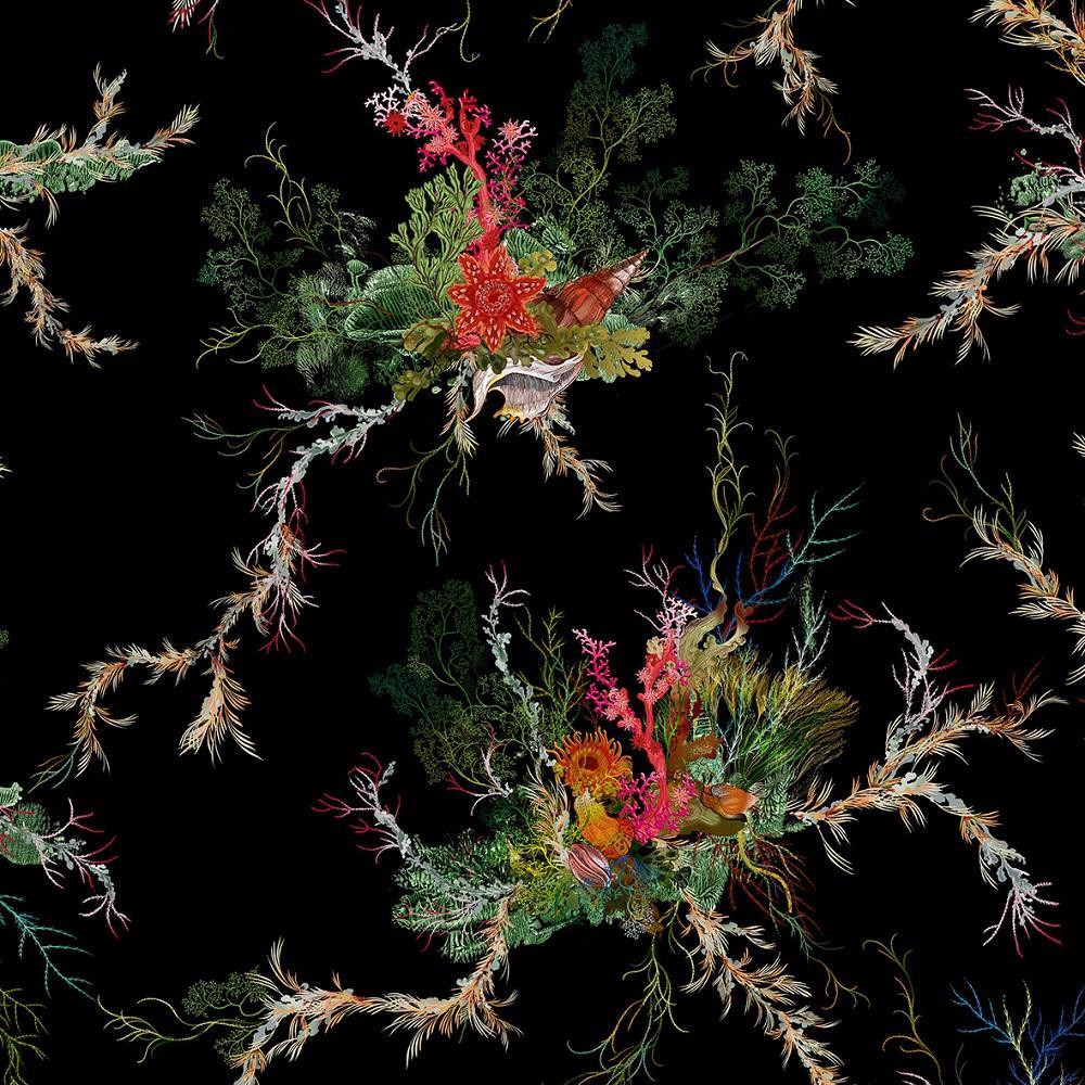 Seaweed Wallpapers - Top Free Seaweed Backgrounds - WallpaperAccess