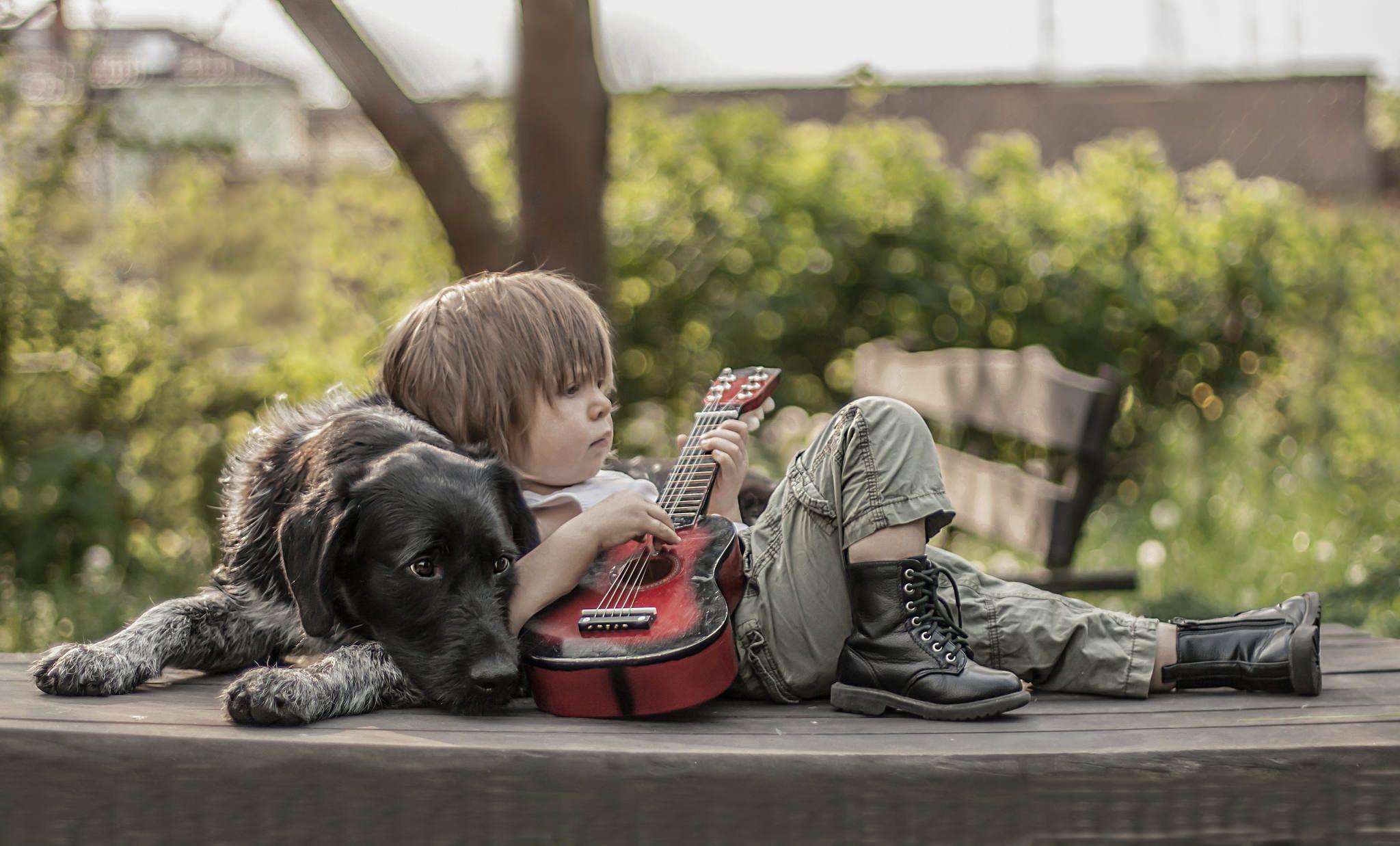 Dog Playing Wallpapers - Top Free Dog Playing Backgrounds - WallpaperAccess