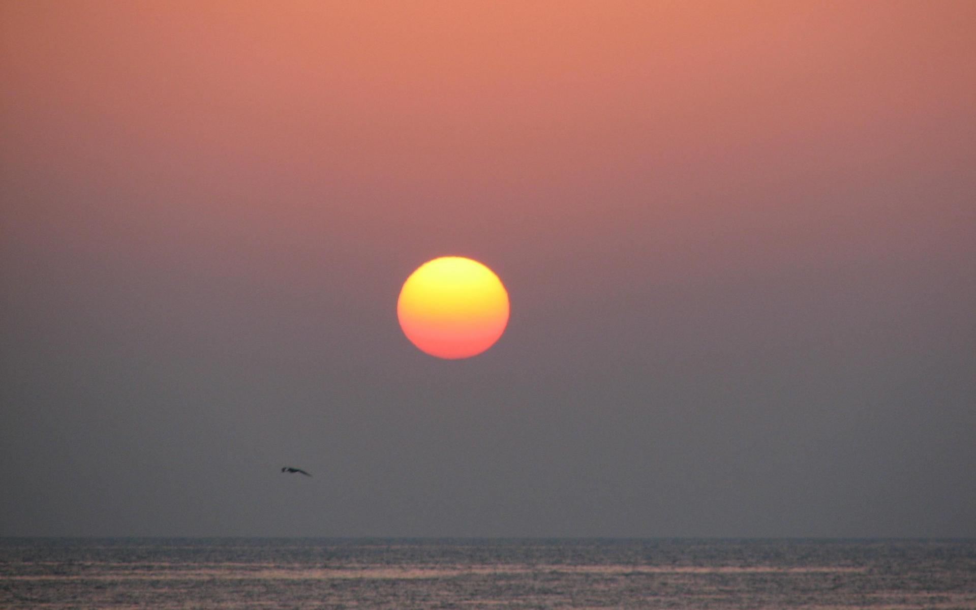 Persian Gulf Wallpapers - Top Free Persian Gulf Backgrounds ...