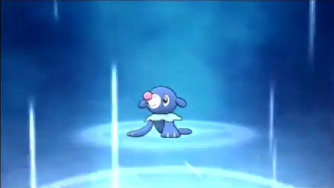 Popplio Wallpapers - Top Free Popplio Backgrounds - WallpaperAccess