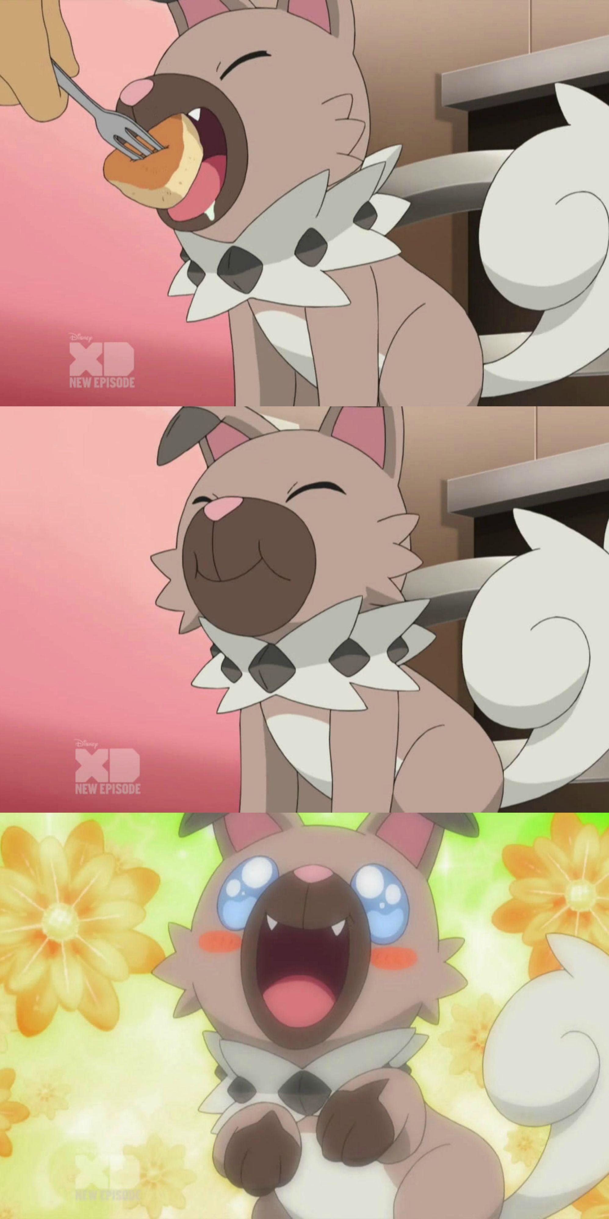 Rockruff Wallpapers - Top Free Rockruff Backgrounds - WallpaperAccess